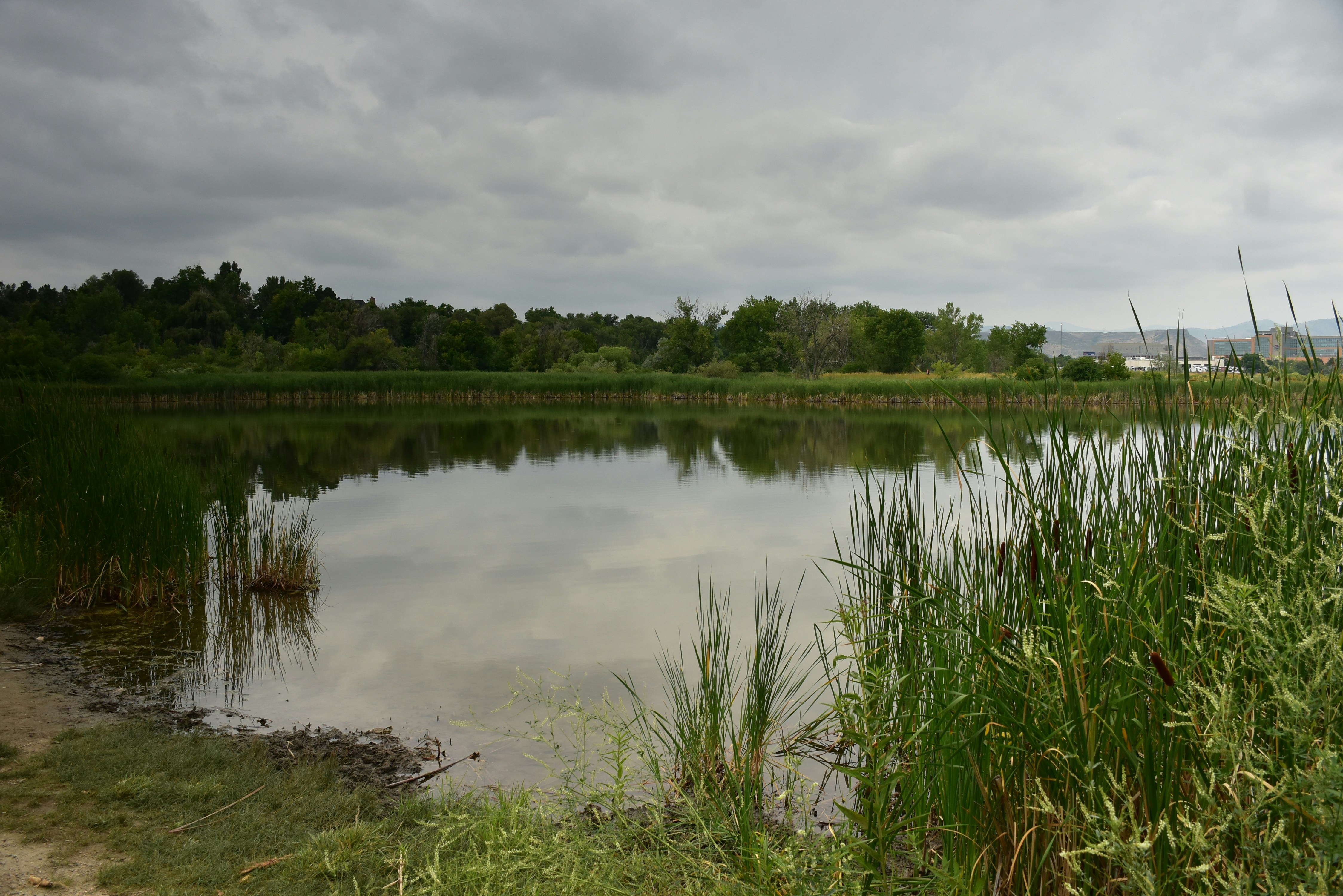 A calm lake reflects the cloudy sky.