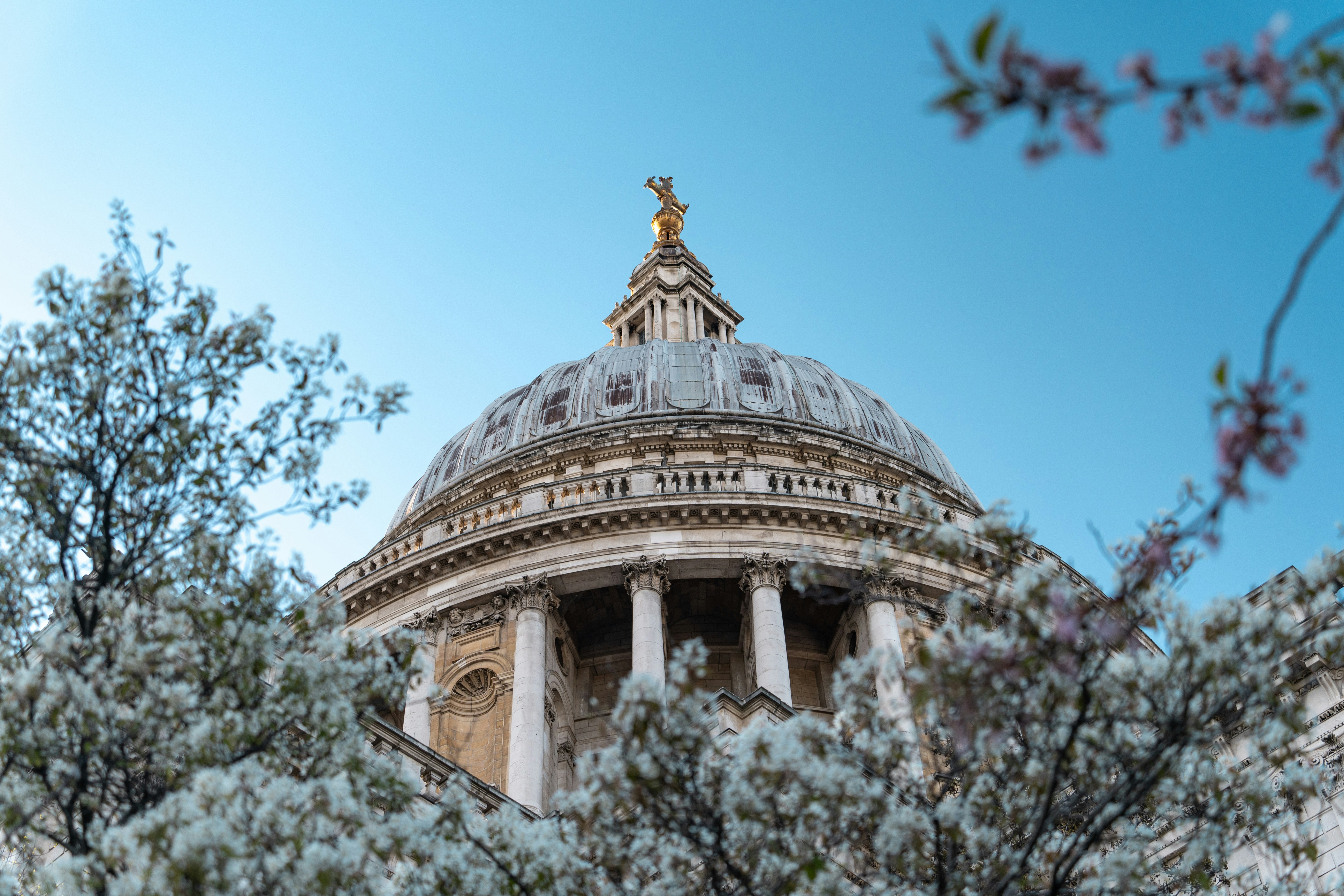 Whispers of History Beneath Blossoms