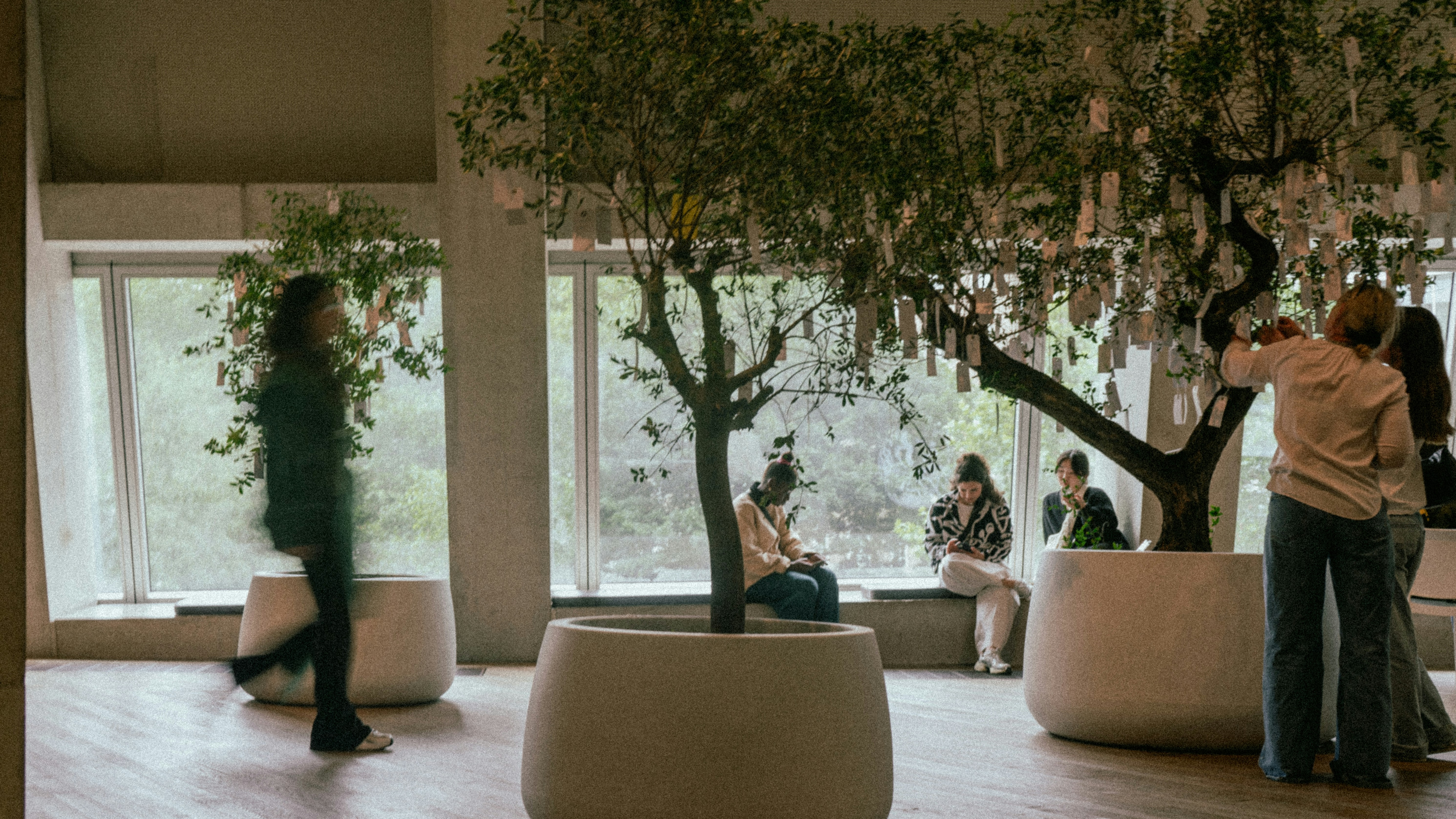 one gives me my h2o | People gather near trees inside a building.