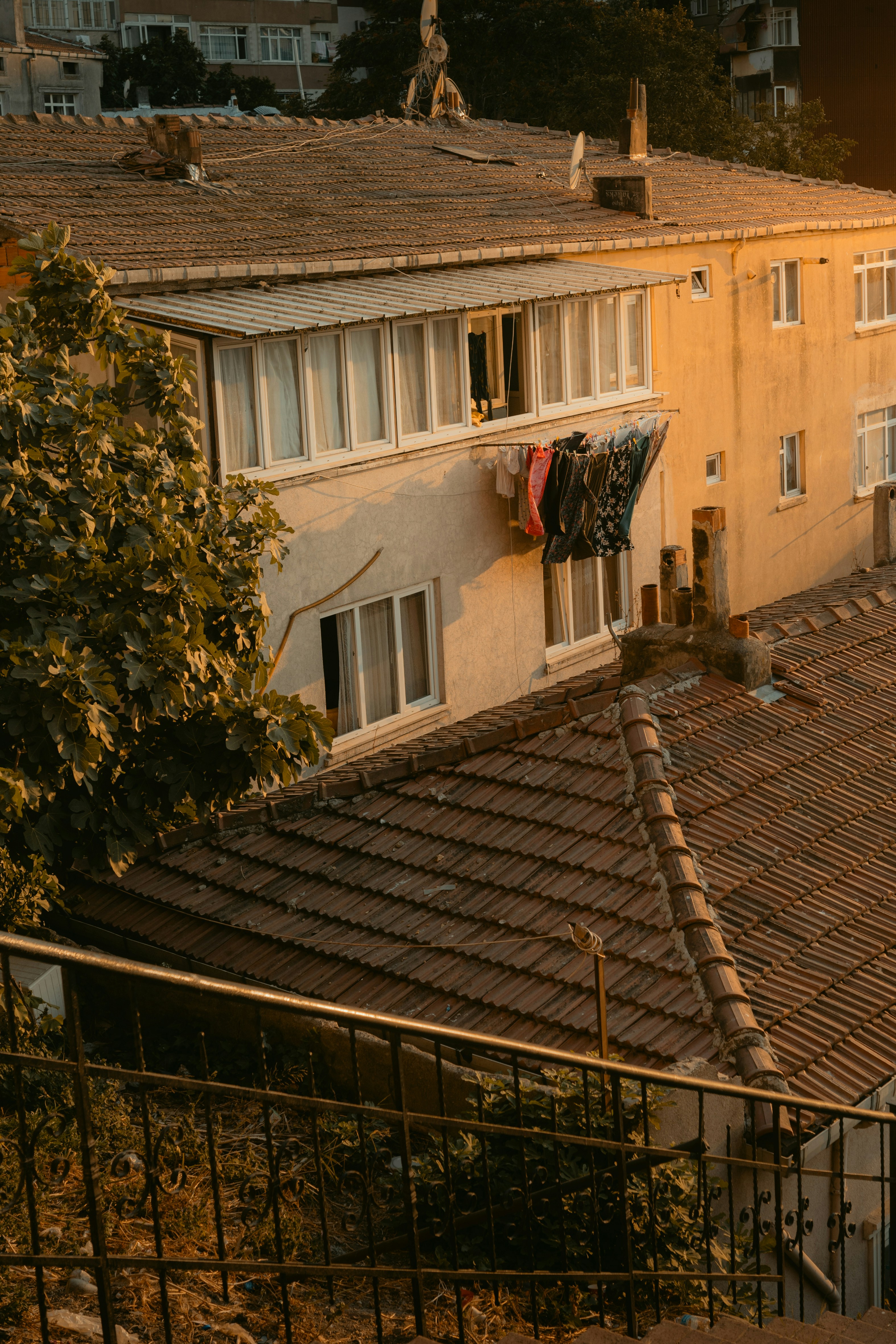 A house lit by golden sunlight.