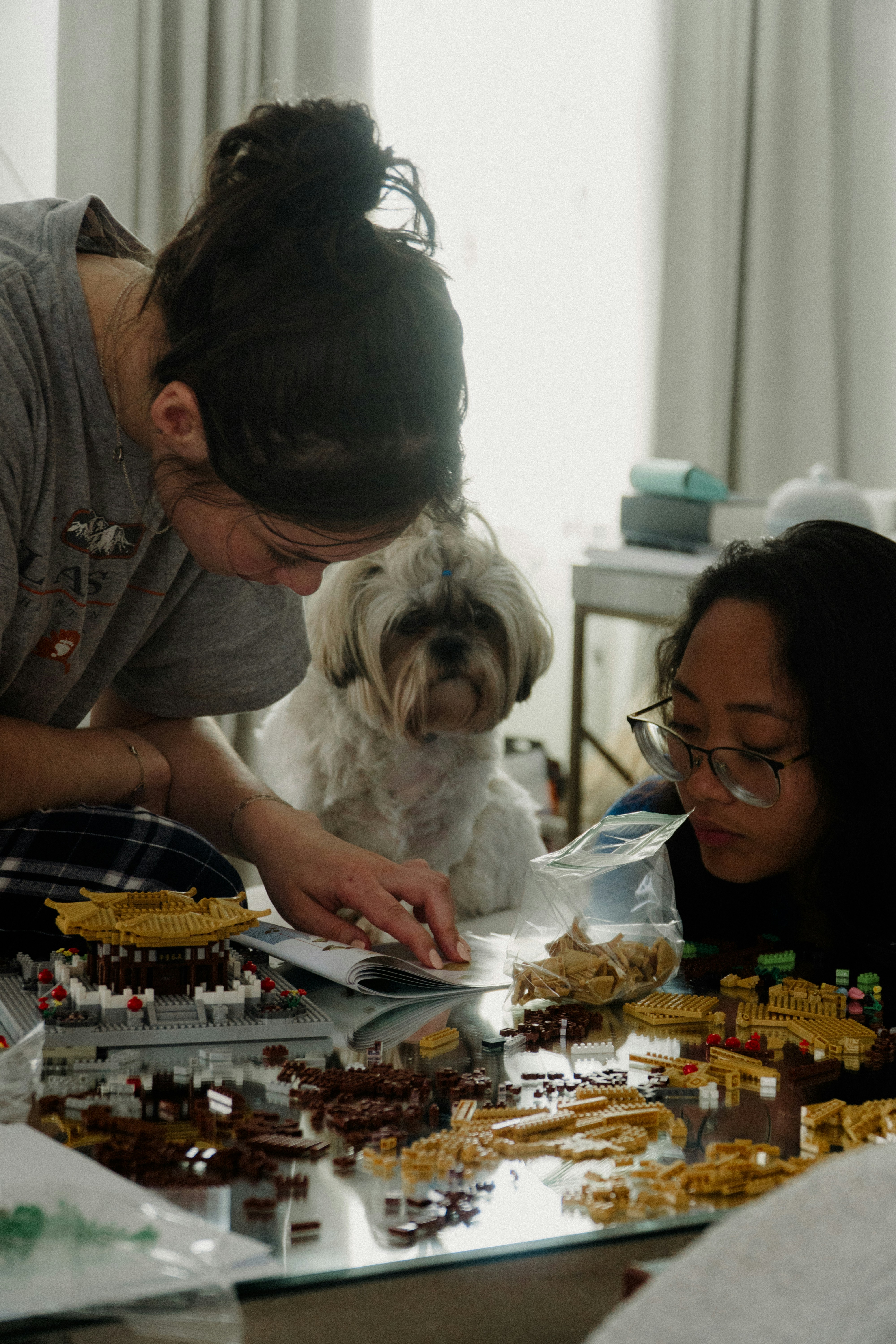 Two women and a dog build lego together.