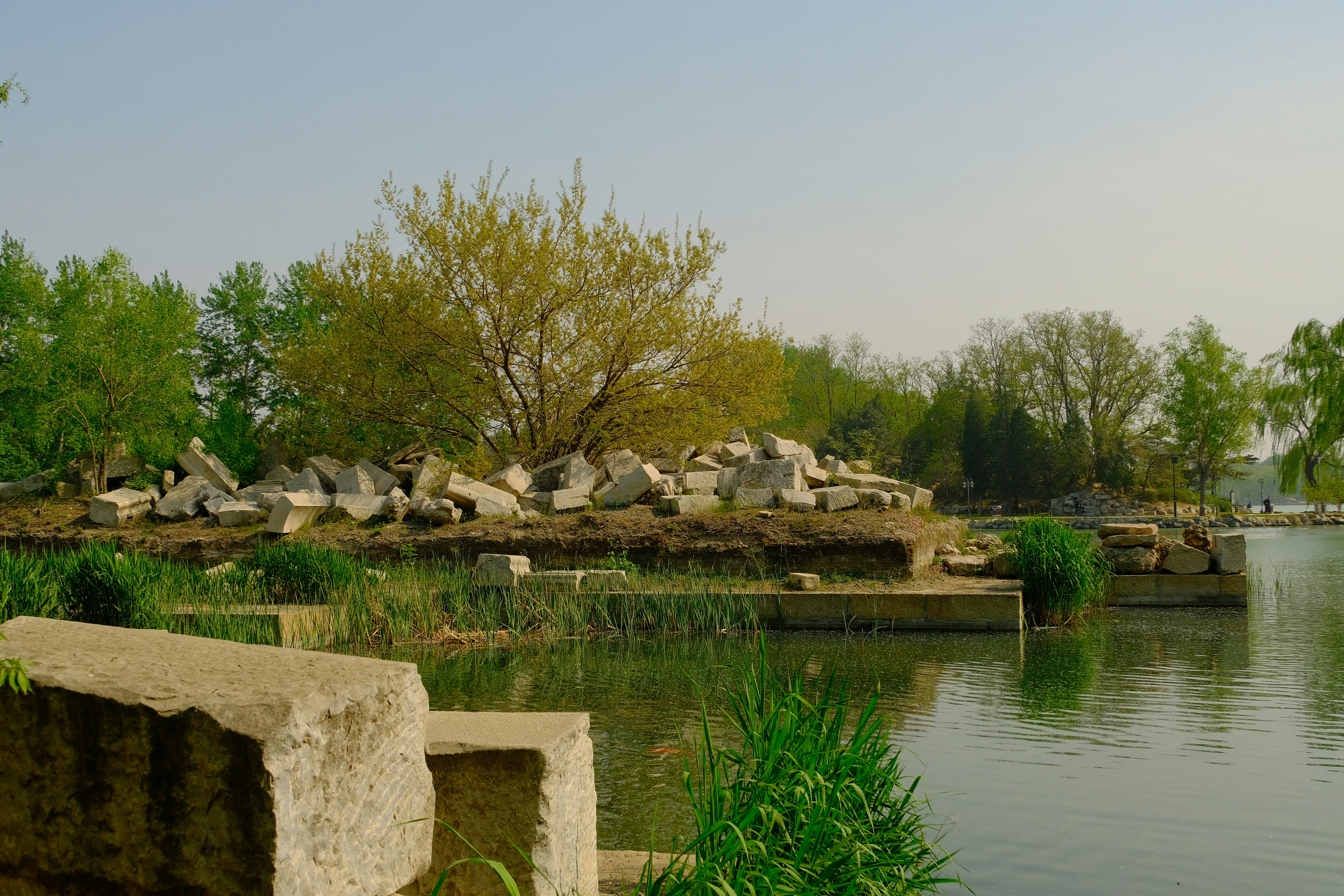 Stone Breakwater Framing a Quiet Lakeside with Spring Foliage