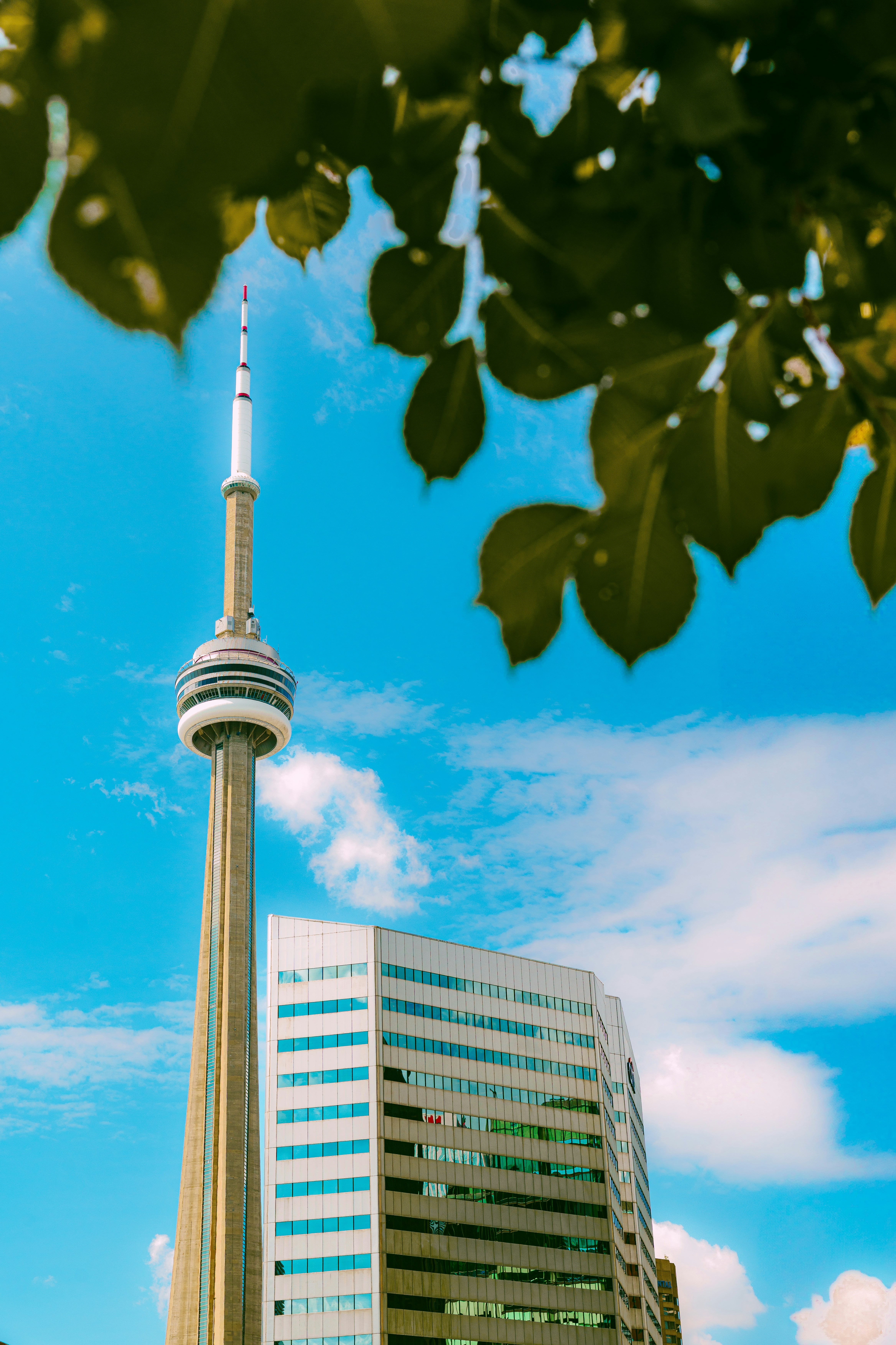 CN Tower POV | The cn tower towers over buildings under blue skies.