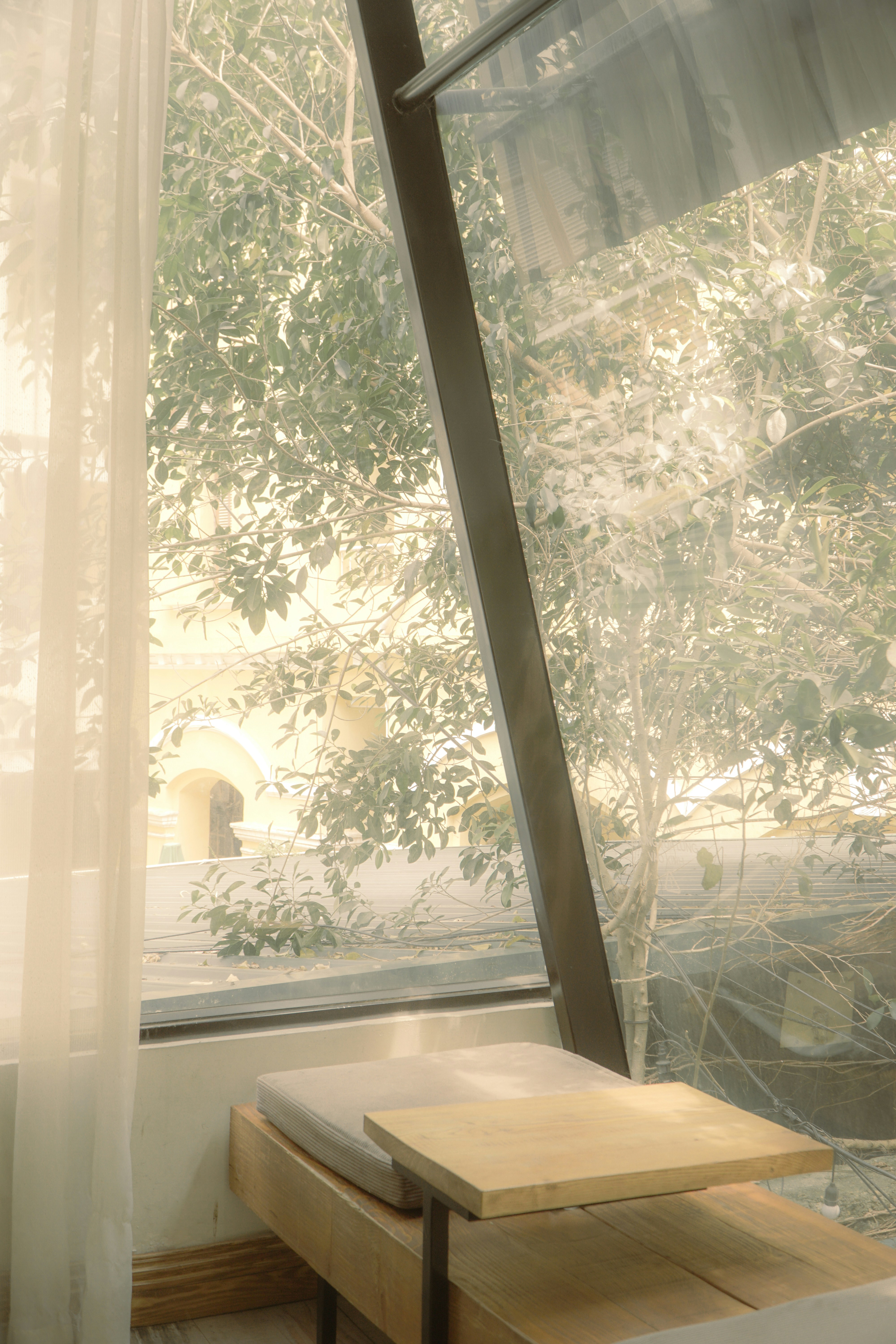 Nature's Embrace Through Glass