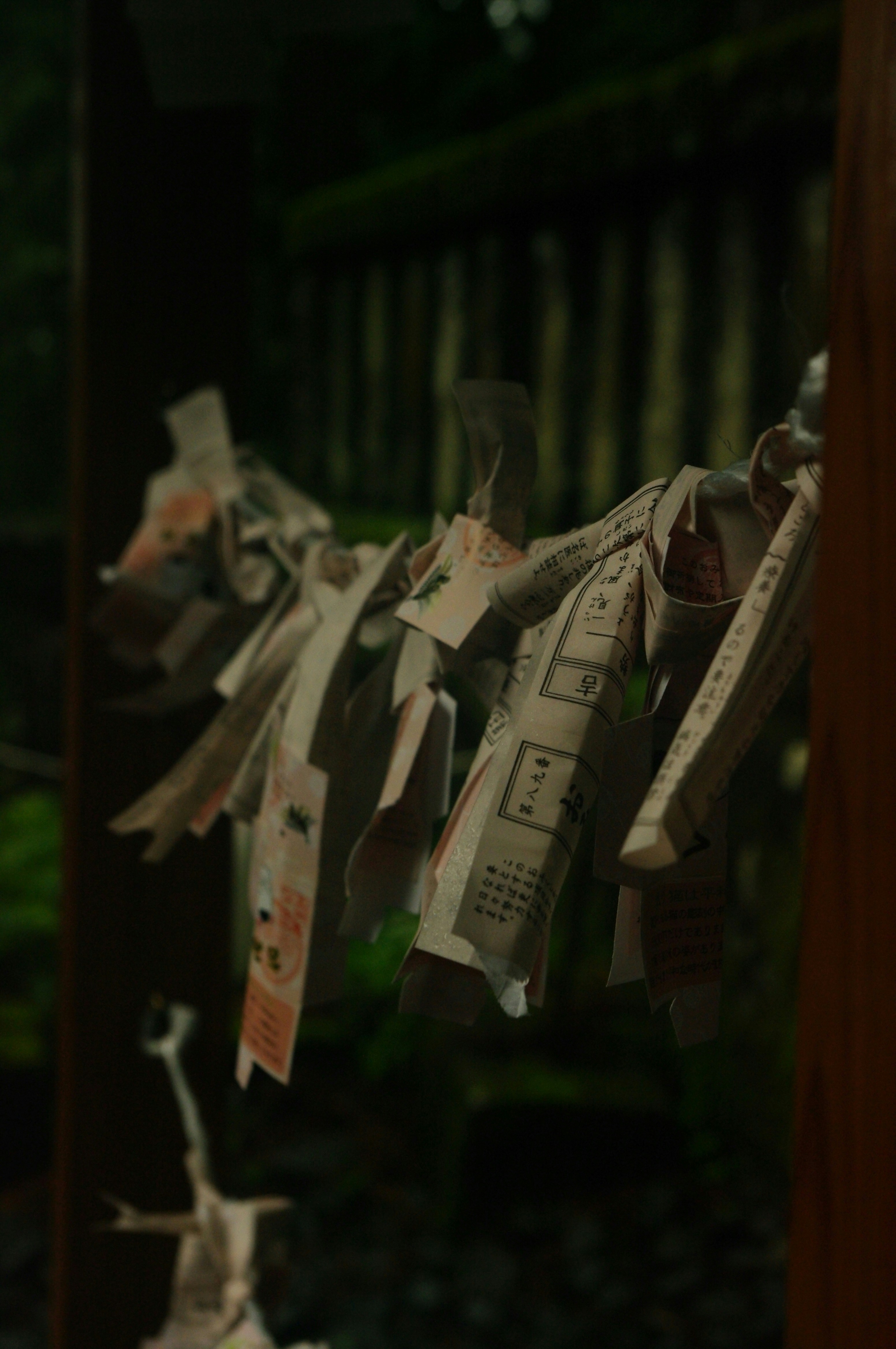 Fortunes tied to sacred ropes at a Shinto shrine in Japan, known as omikuji. Visitors receive a fortune and tie it in hopes of blessings or to leave bad luck behind. The quiet ambiance, wet stones, and moss-covered walls create a meditative mood — a glimpse into Japanese spiritual tradition. | Paper fortunes hang from a string in a dark temple.
