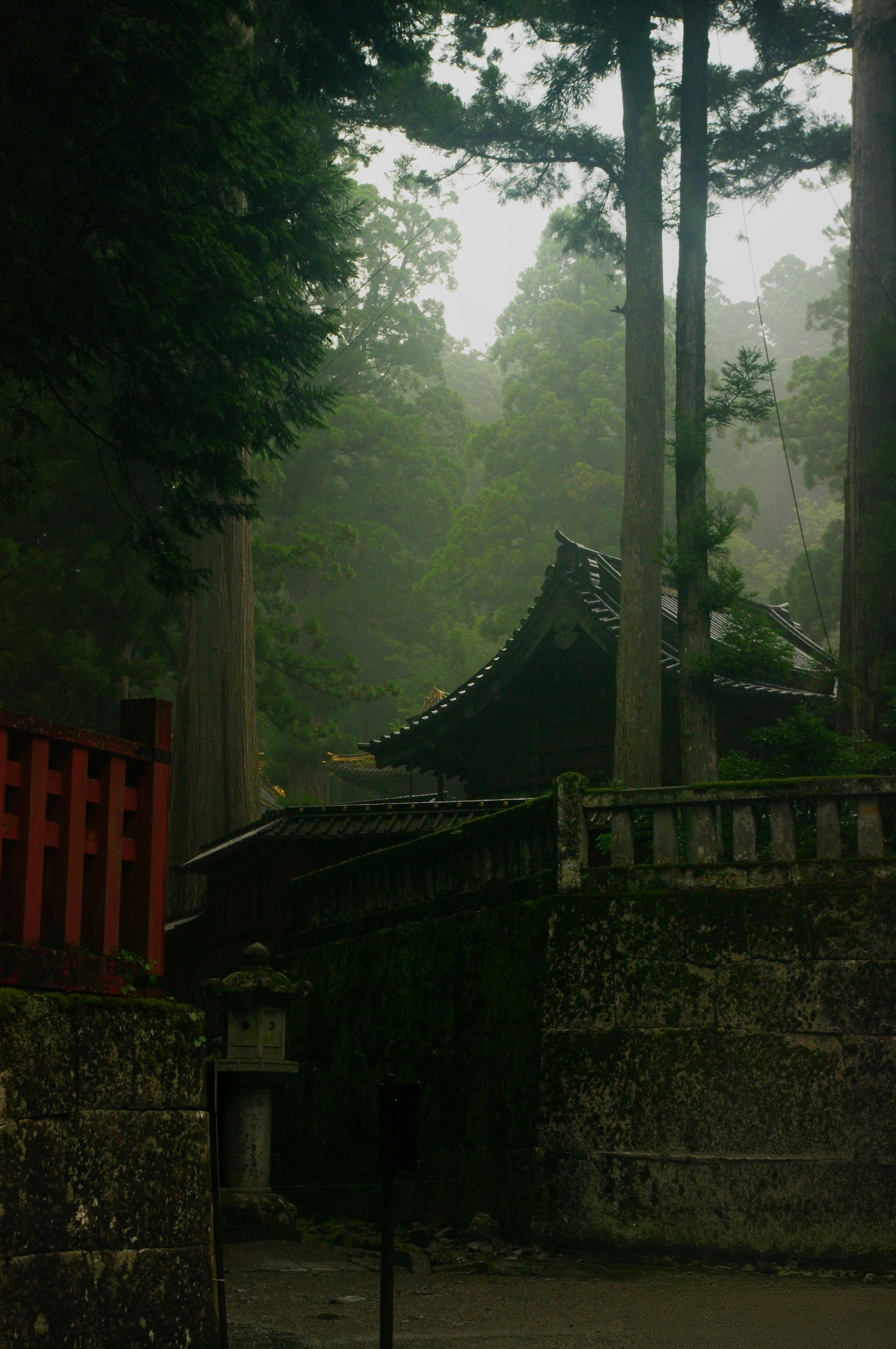 A japanese temple is shrouded in misty, green trees. photo – Free ...