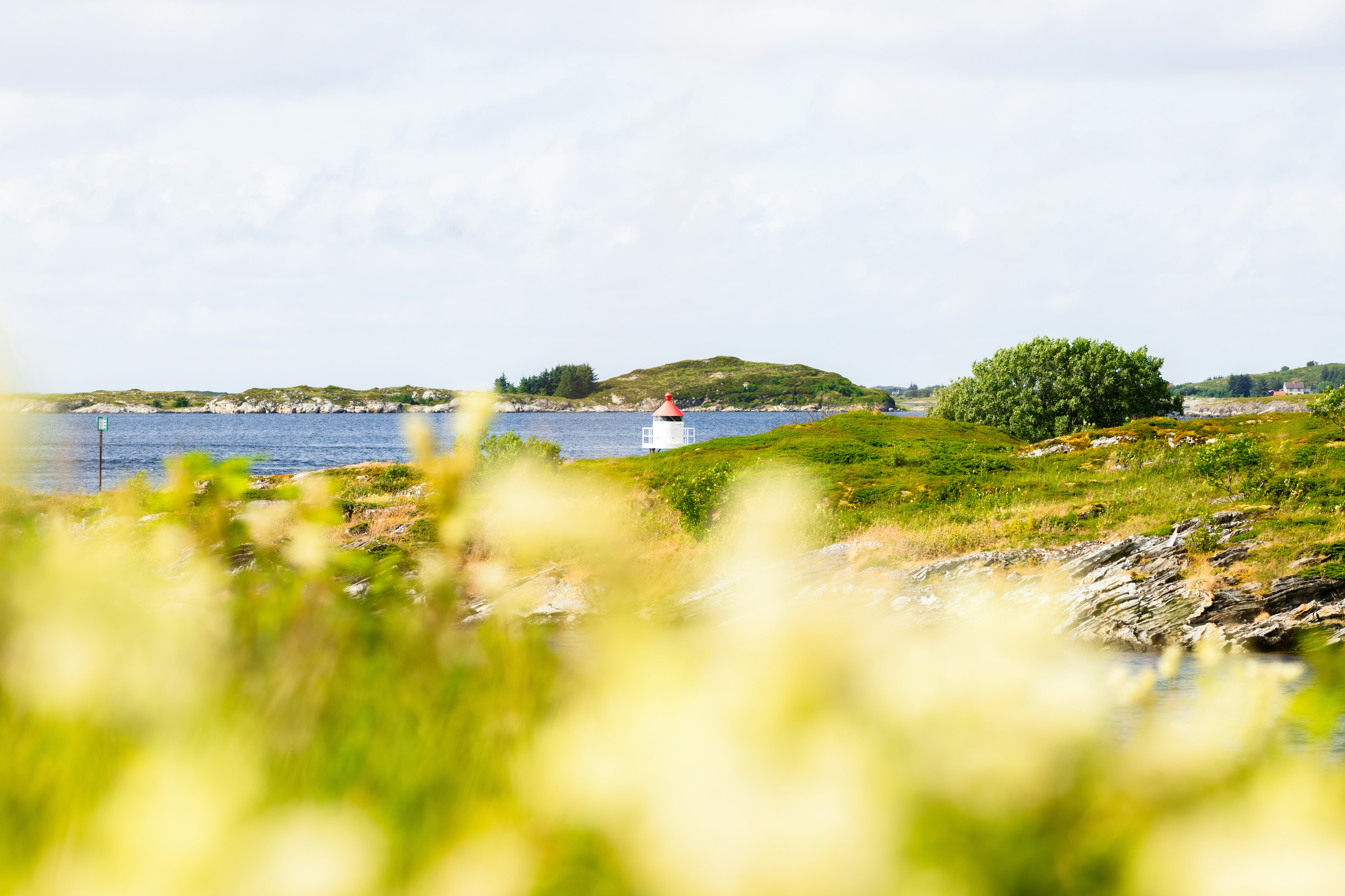 Whispers of the Coastline: A Beacon Amidst Nature