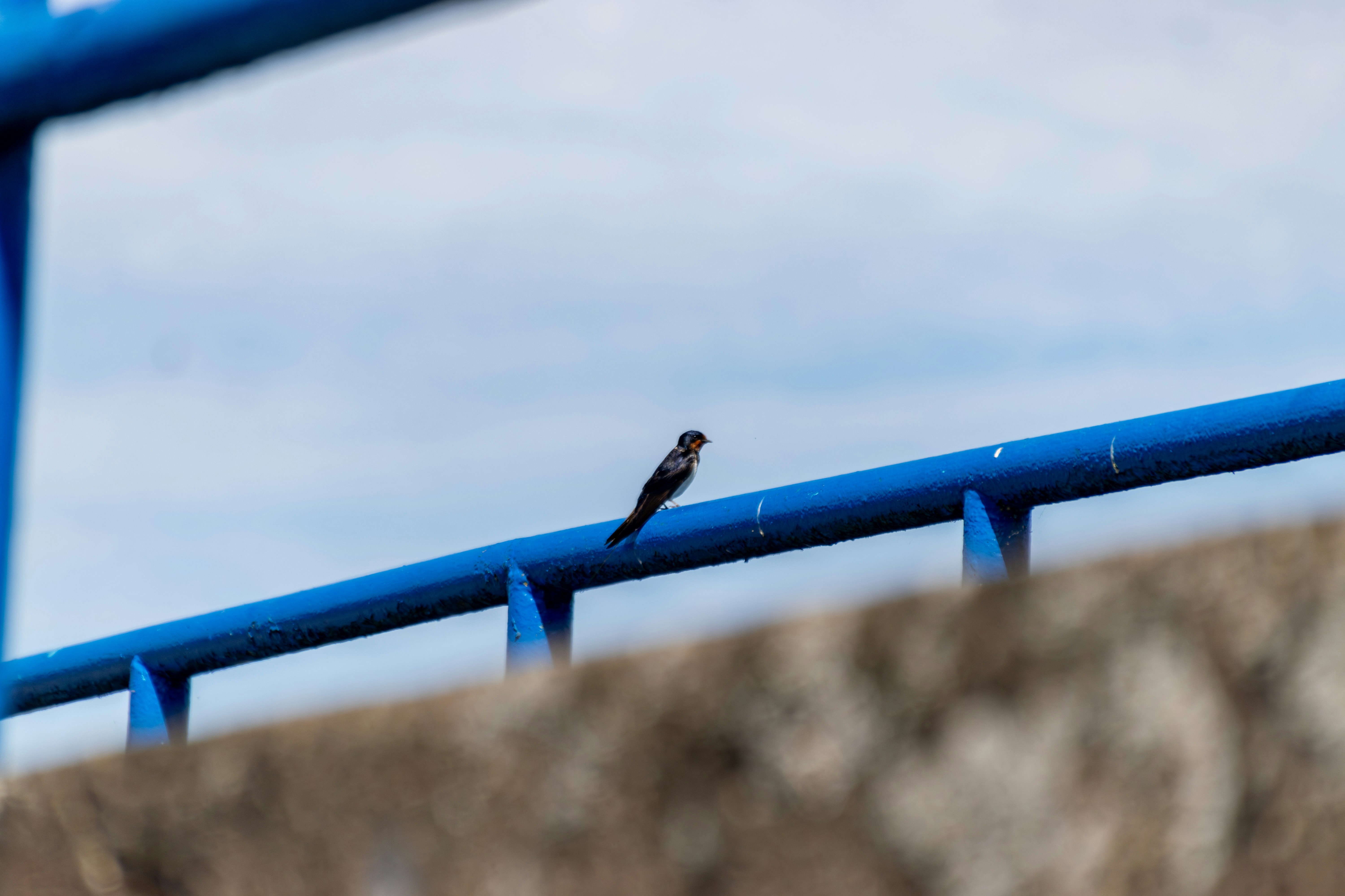 A Moment on the Blue Rail