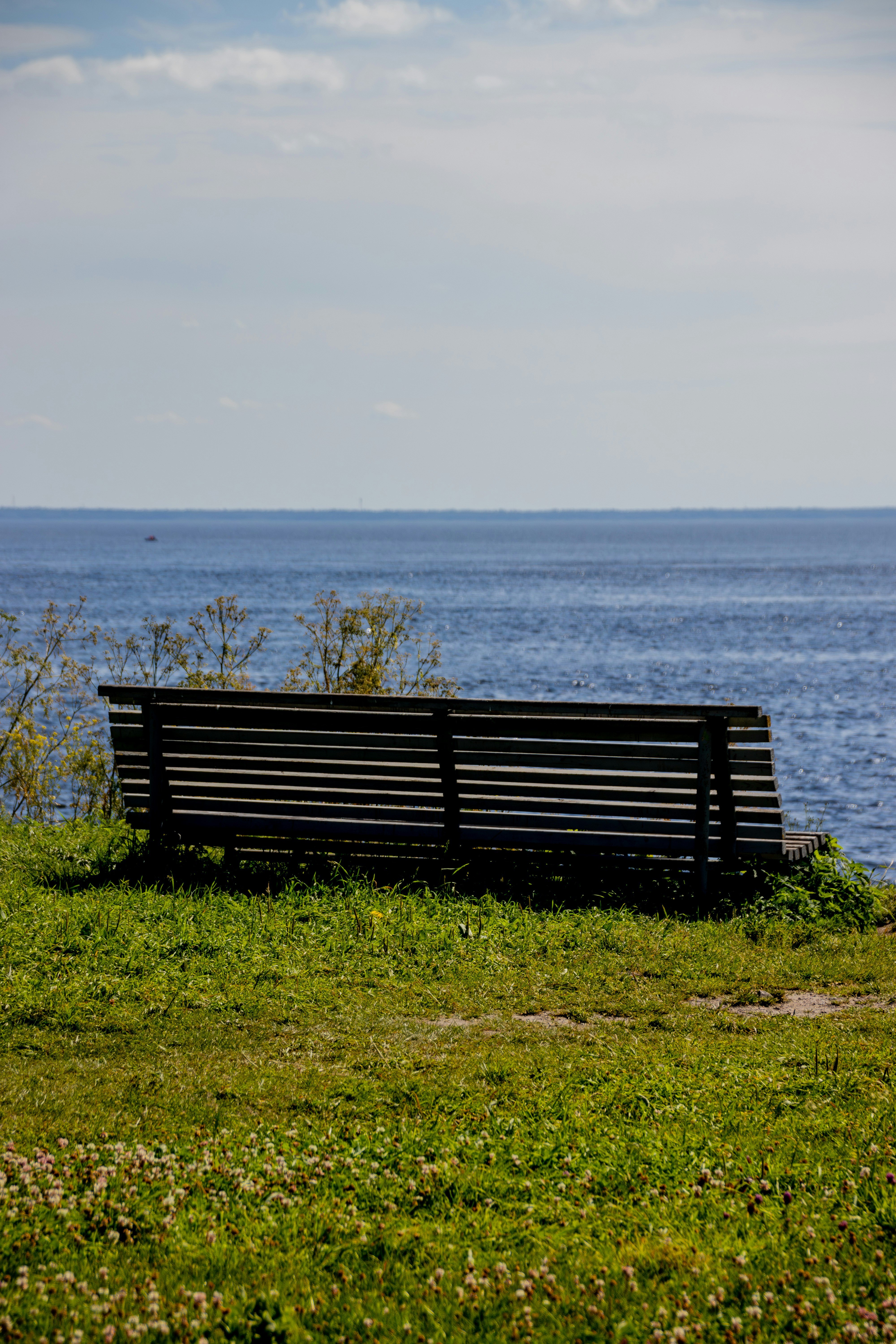 Solitude by the Water's Edge