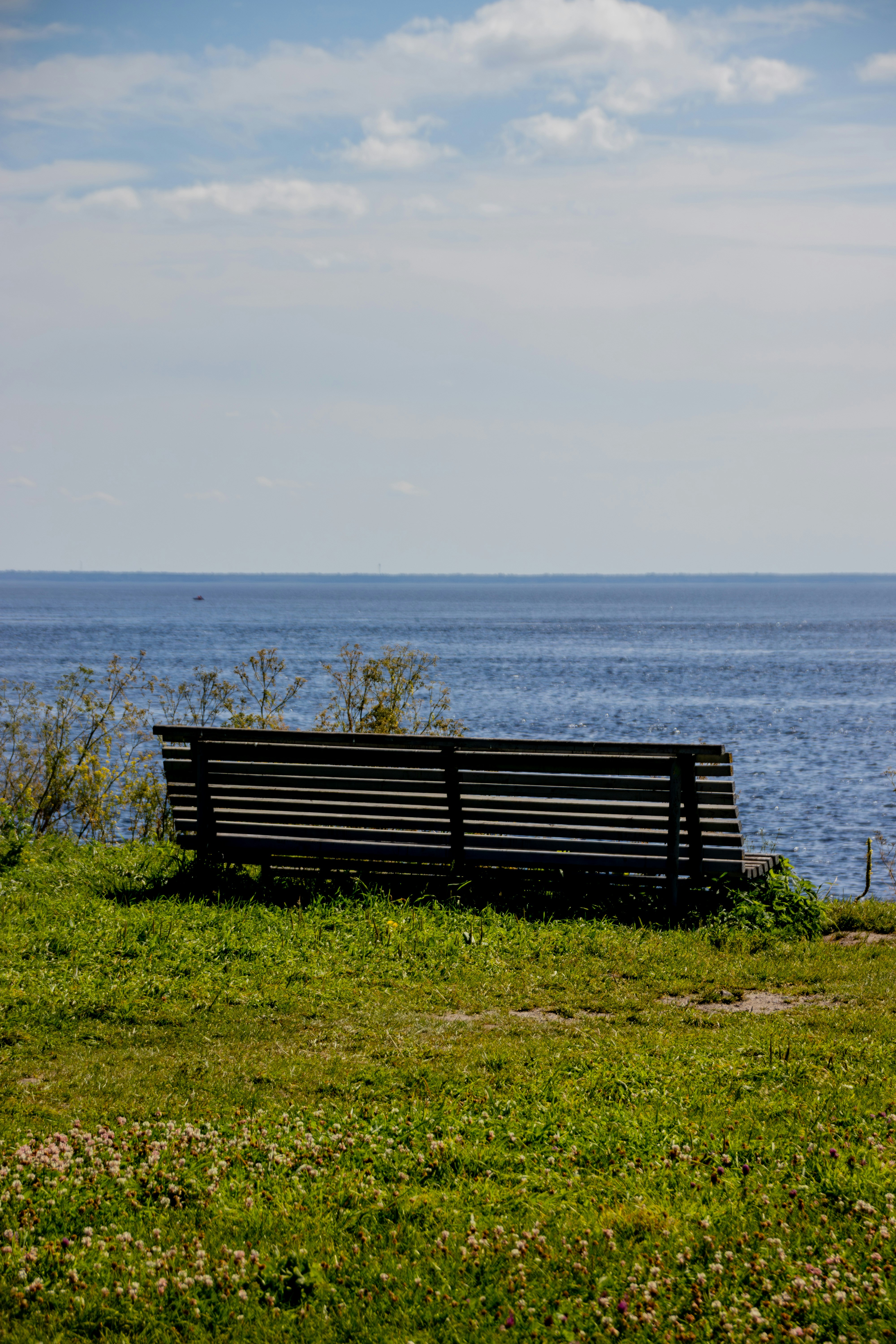 Serenity by the Waterside