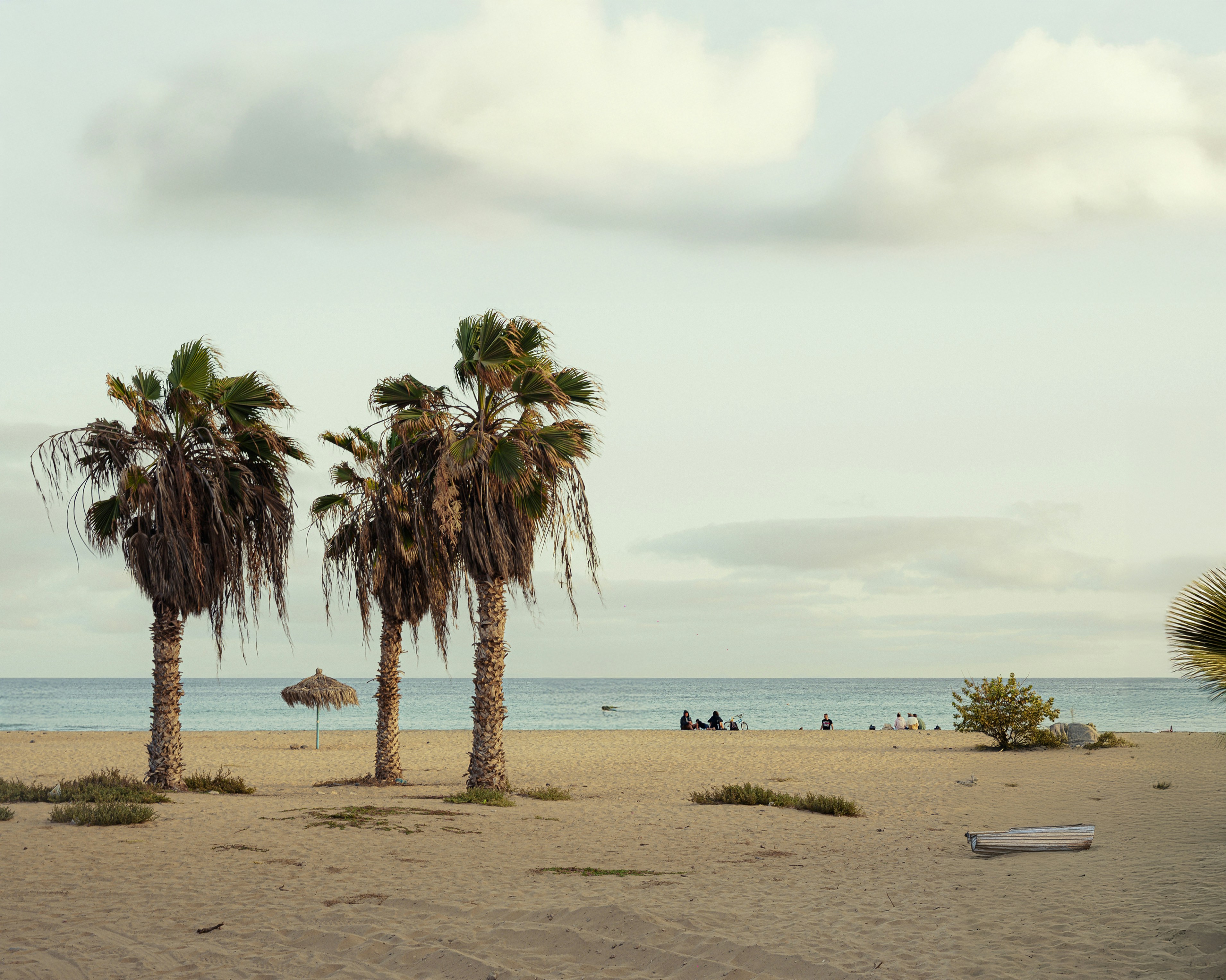Captured at the end of the day on Sal Island, Cape Verde. Fishing boats sit still as locals gather near the shore — a glimpse into daily coastal life on this peaceful Atlantic island. | Palm trees grace a sandy beach near the ocean.