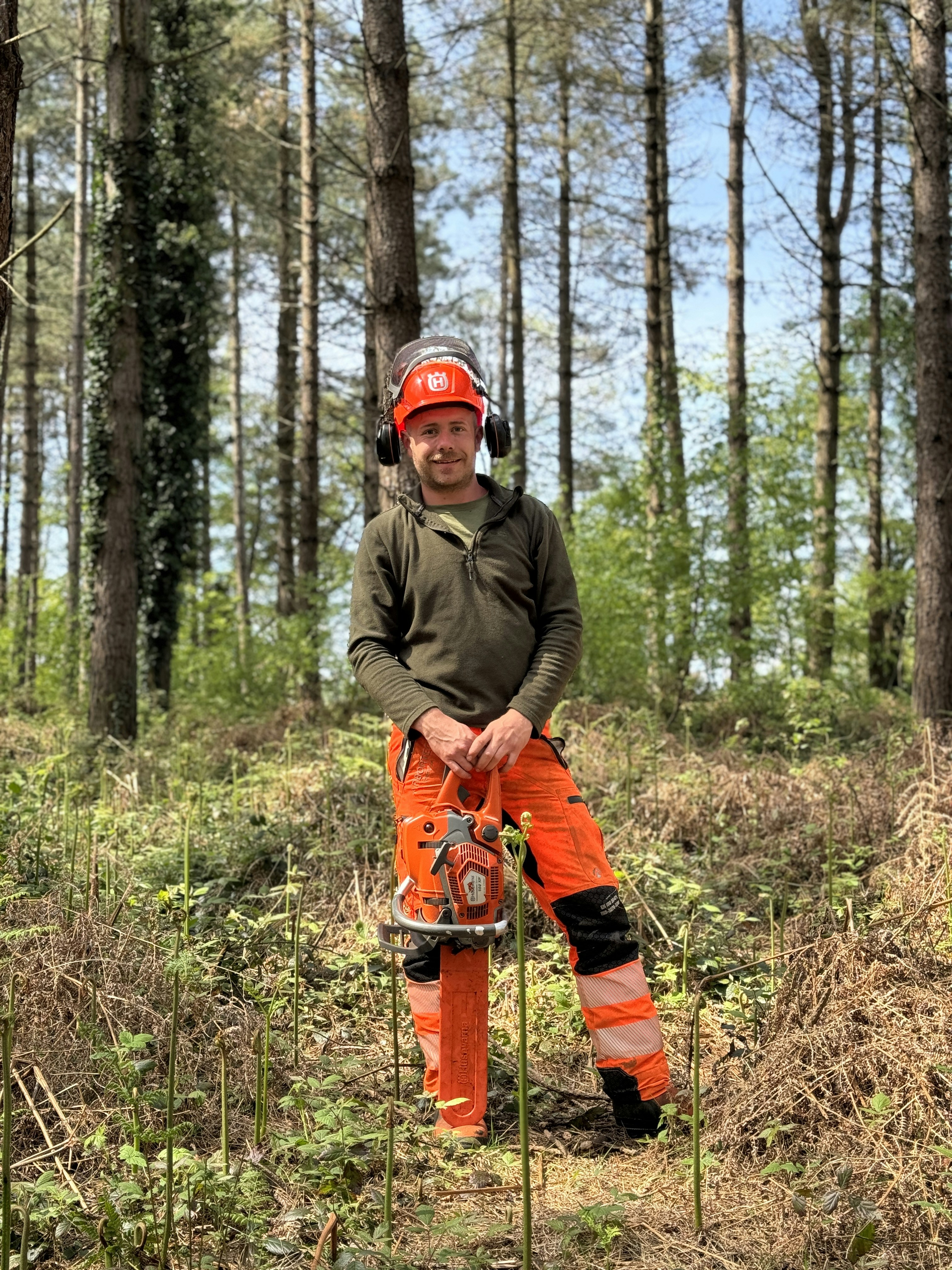 A forester stands in a forest with a chainsaw.