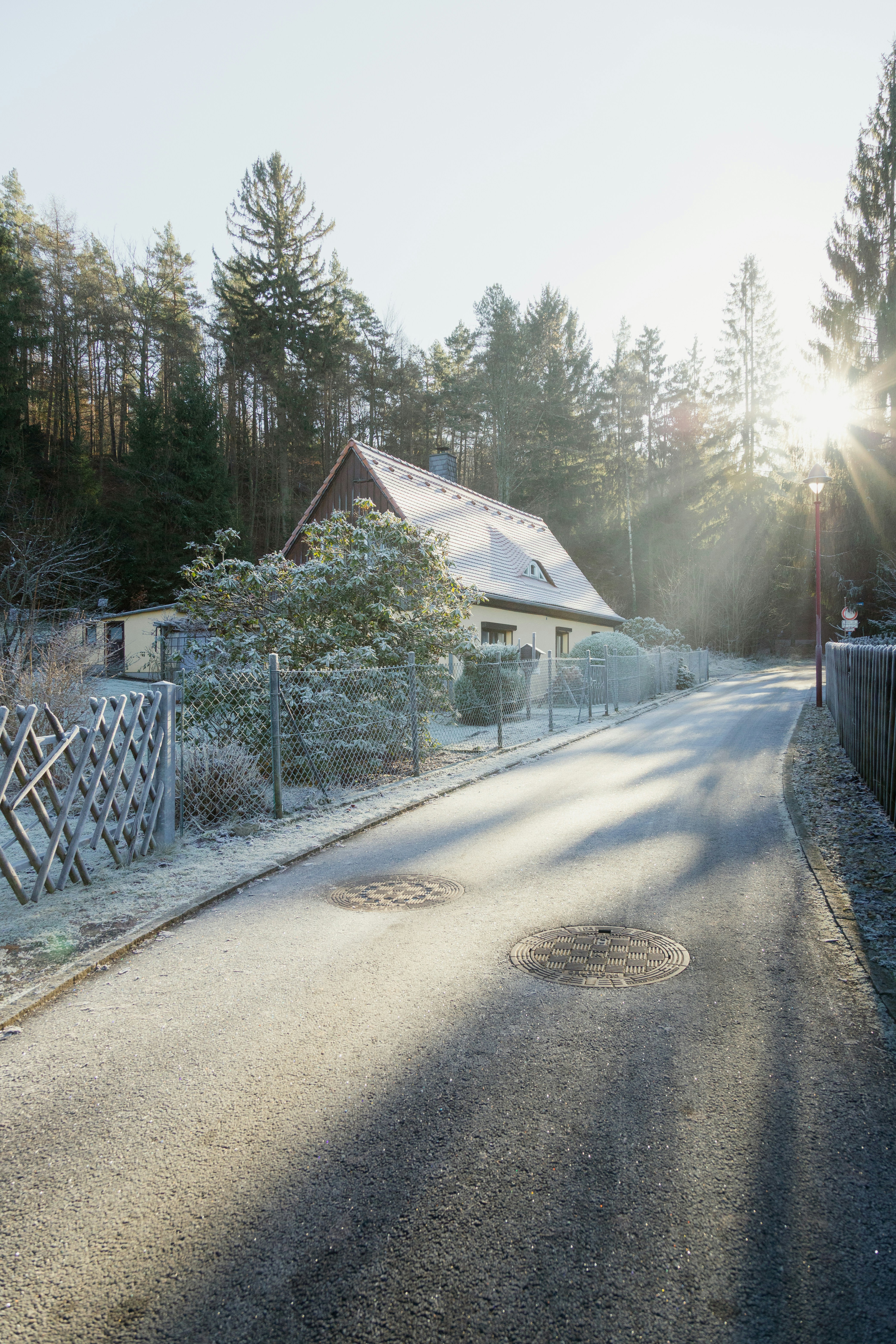 Whispers of Winter: A Serene Country Lane