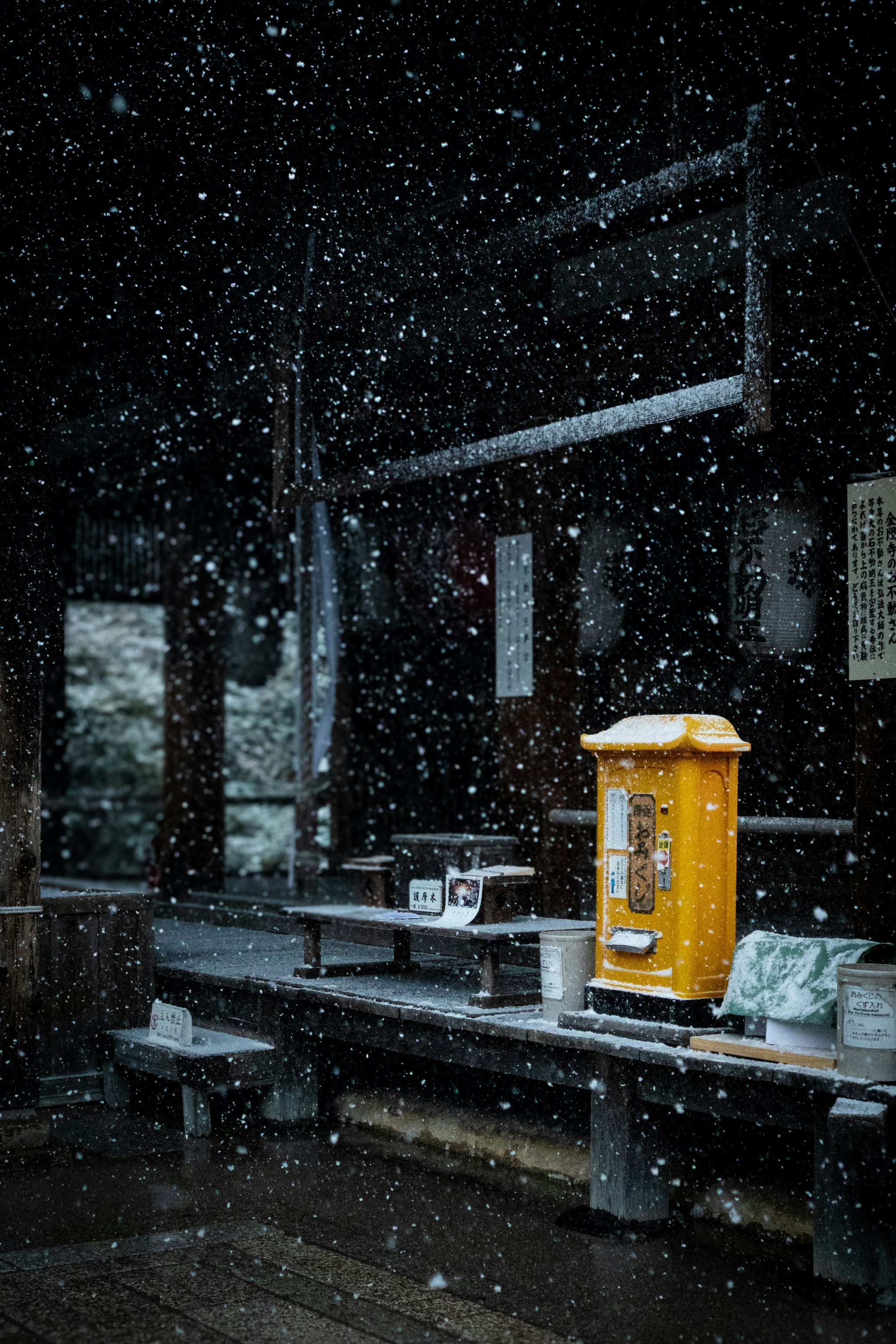 Whispers of Winter: A Quiet Retreat