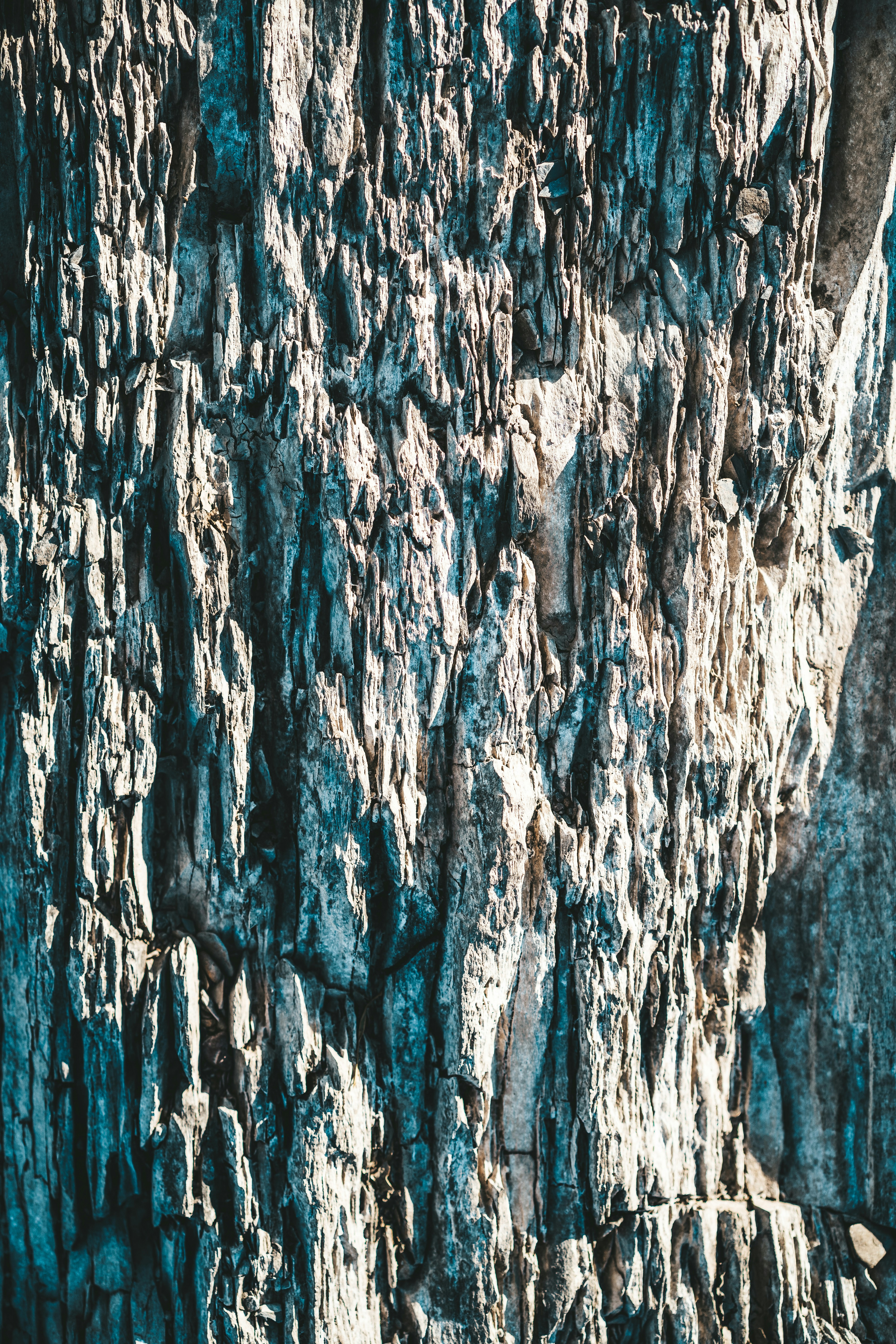 Textured rock surface is shown in a close-up shot.
