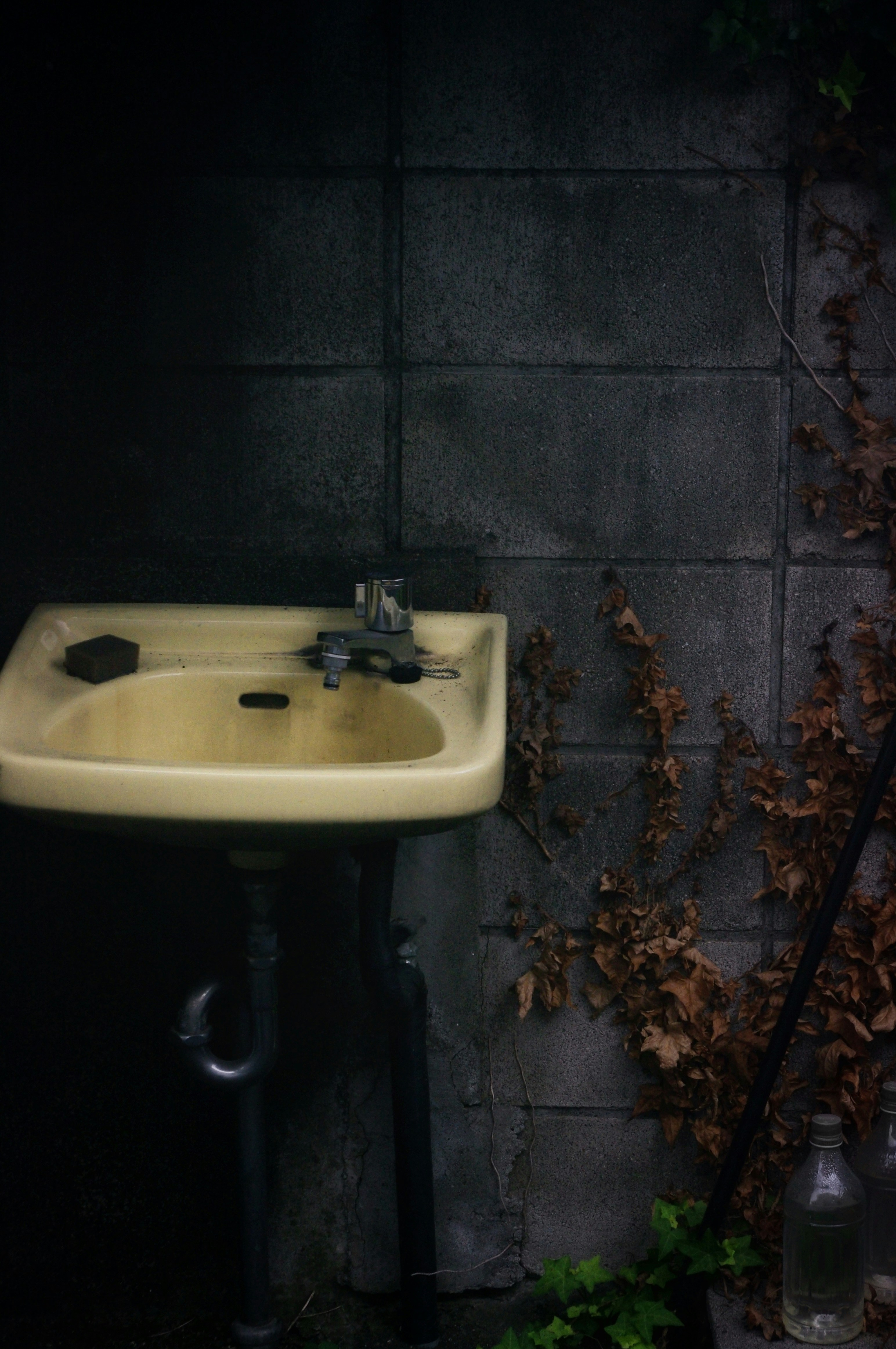 An old yellow sink against a weathered concrete wall, surrounded by dry ivy and glass bottles. The moody lighting and worn textures evoke a sense of quiet abandonment and nostalgia, like a forgotten corner of everyday life in Japan. | An old sink stands beside a concrete wall.