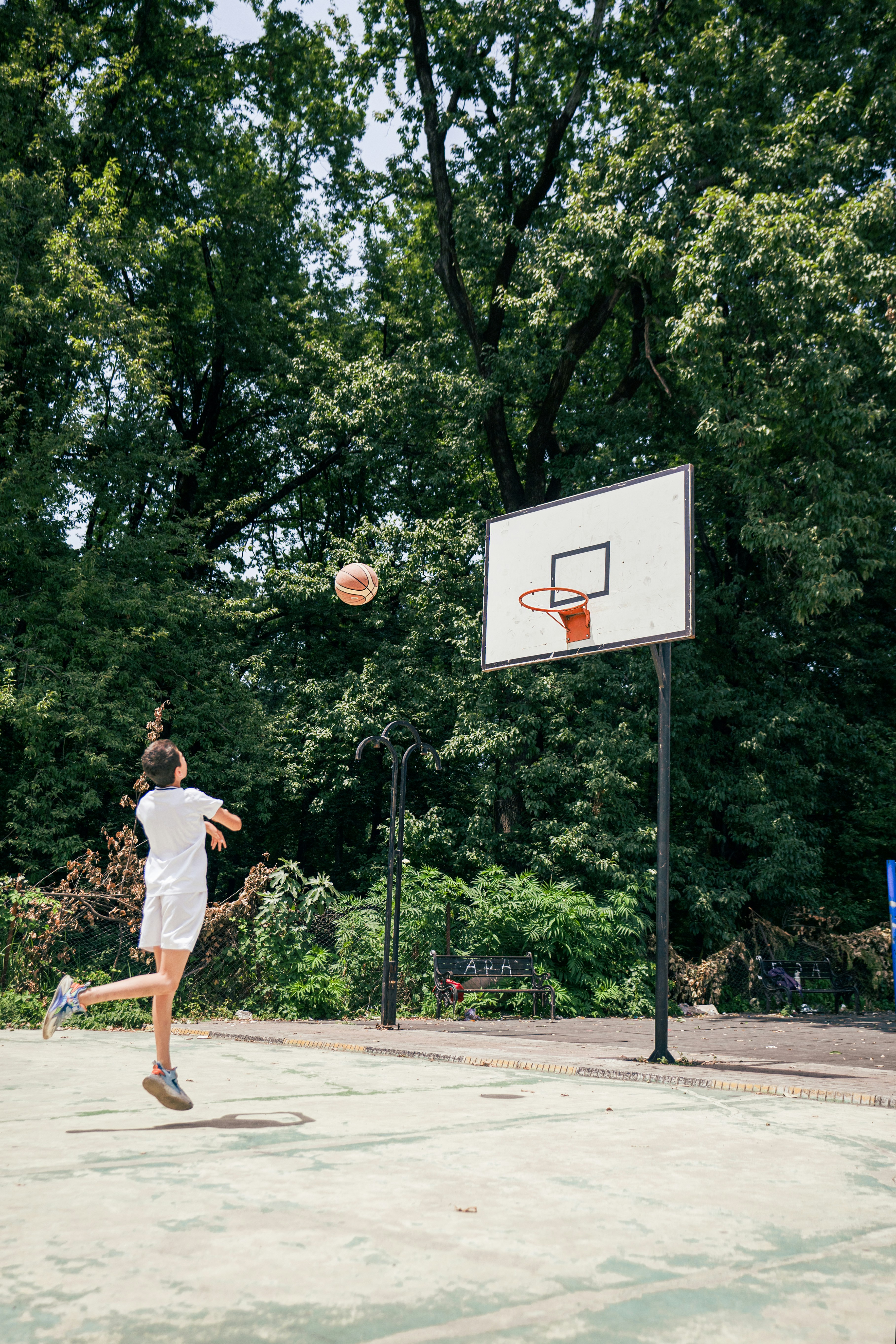 Elevating Dreams: A Leap Towards the Basket