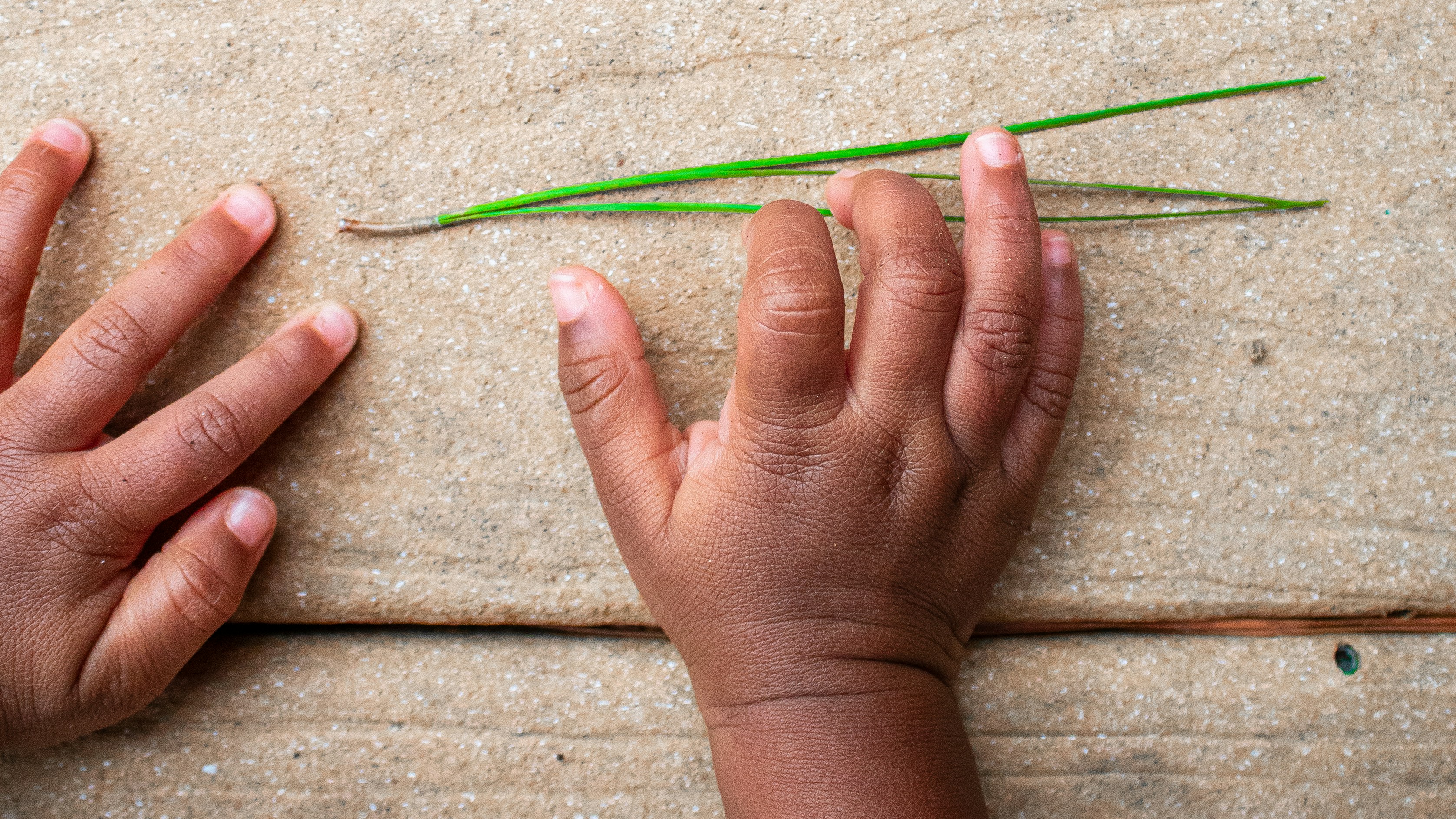 brown skinned baby's hand reaching for a pine needle | Hands hold a leaf on a wooden surface.