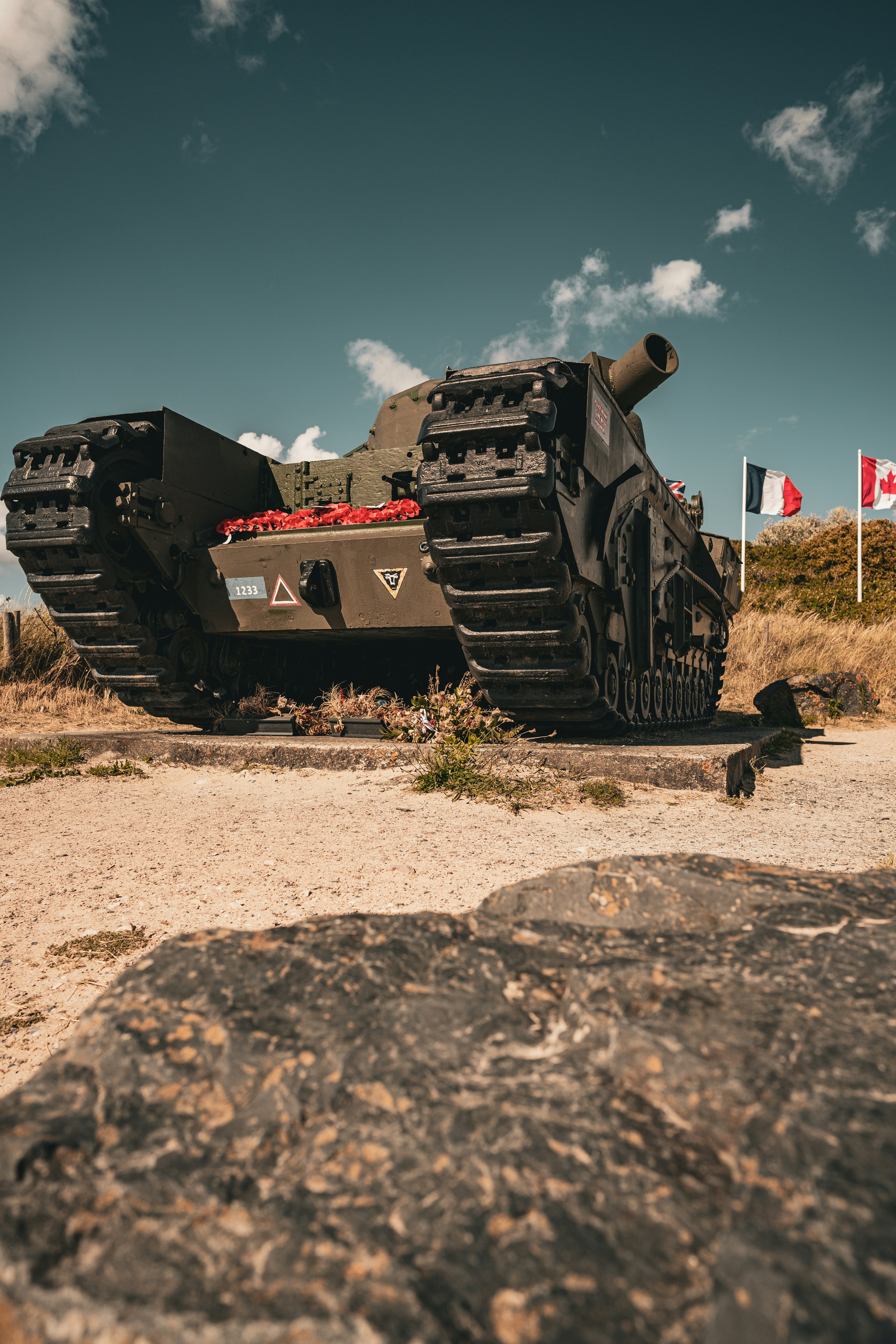 Echoes of Valor: A Tribute to History