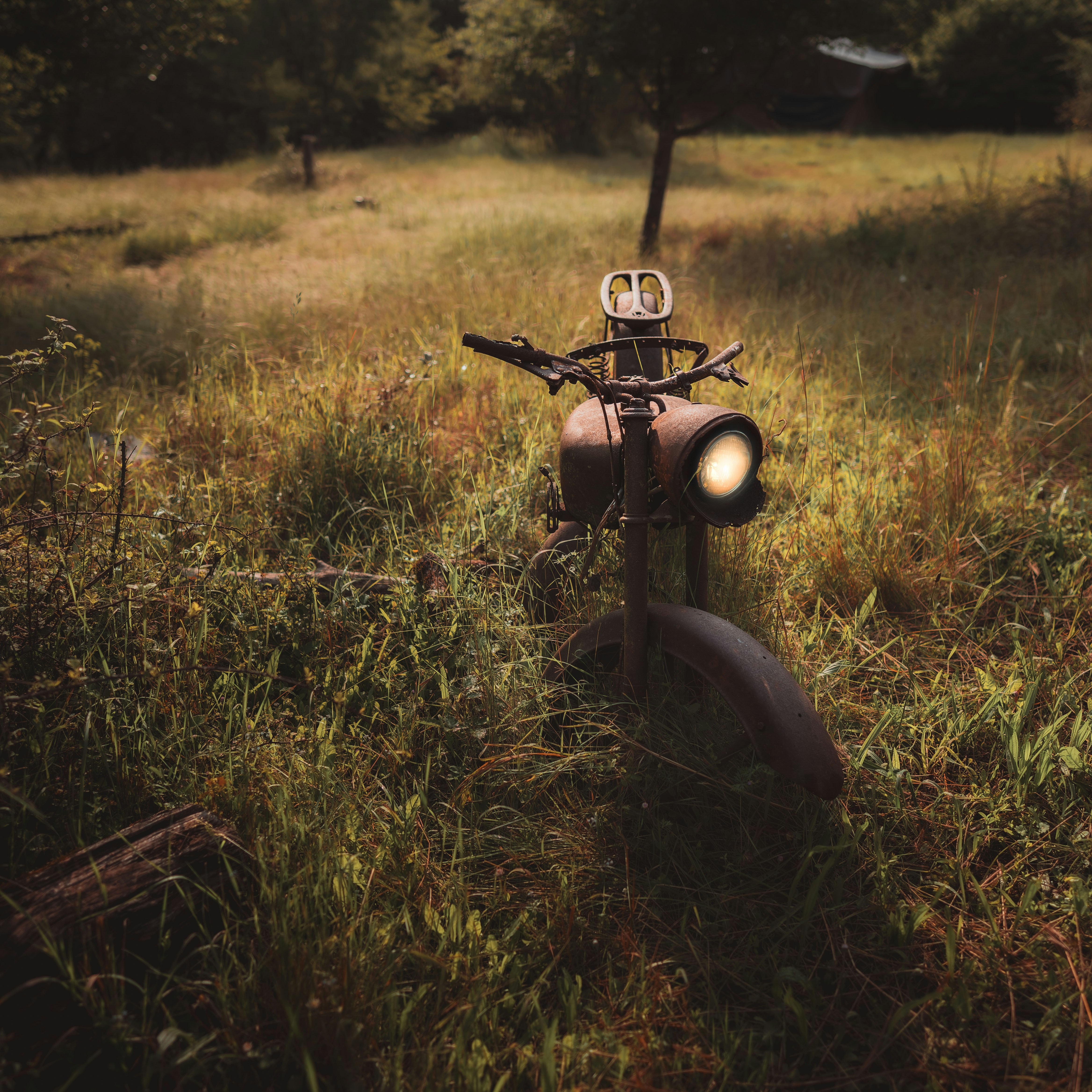 Echoes of Adventure: The Rusted Ride