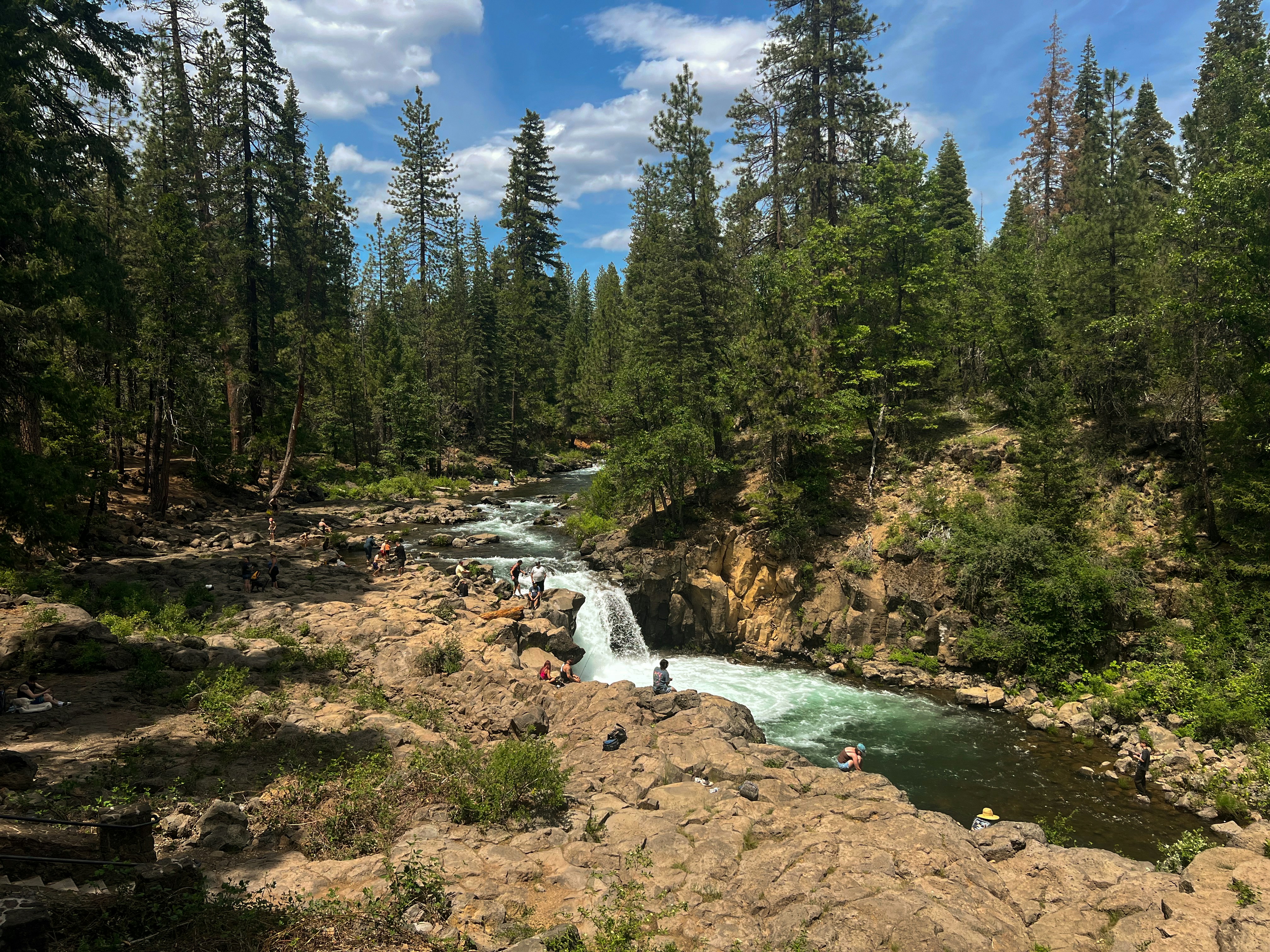 A waterfall flows through a green forest.