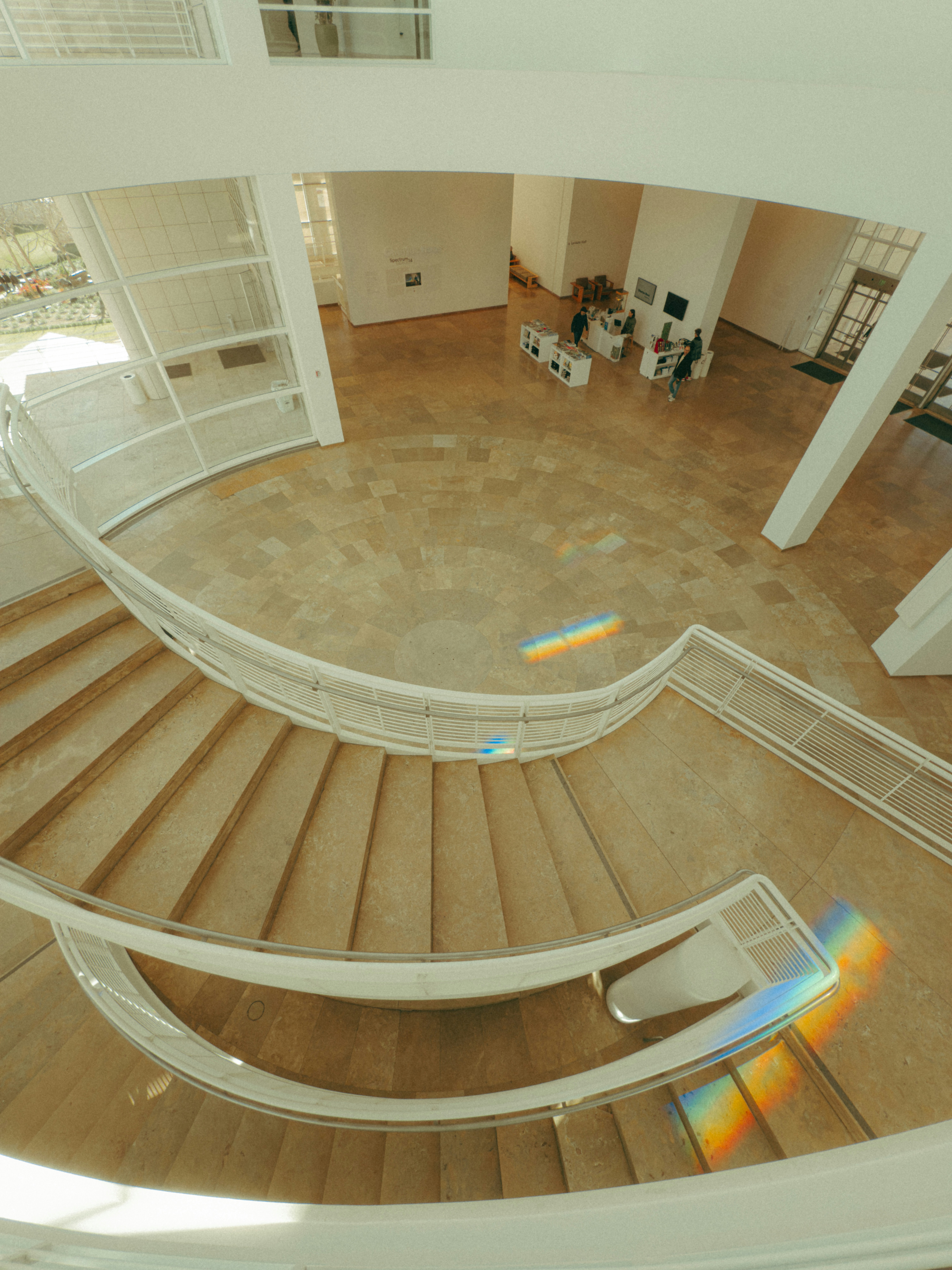 Curved Elegance: A Dance of Light and Space