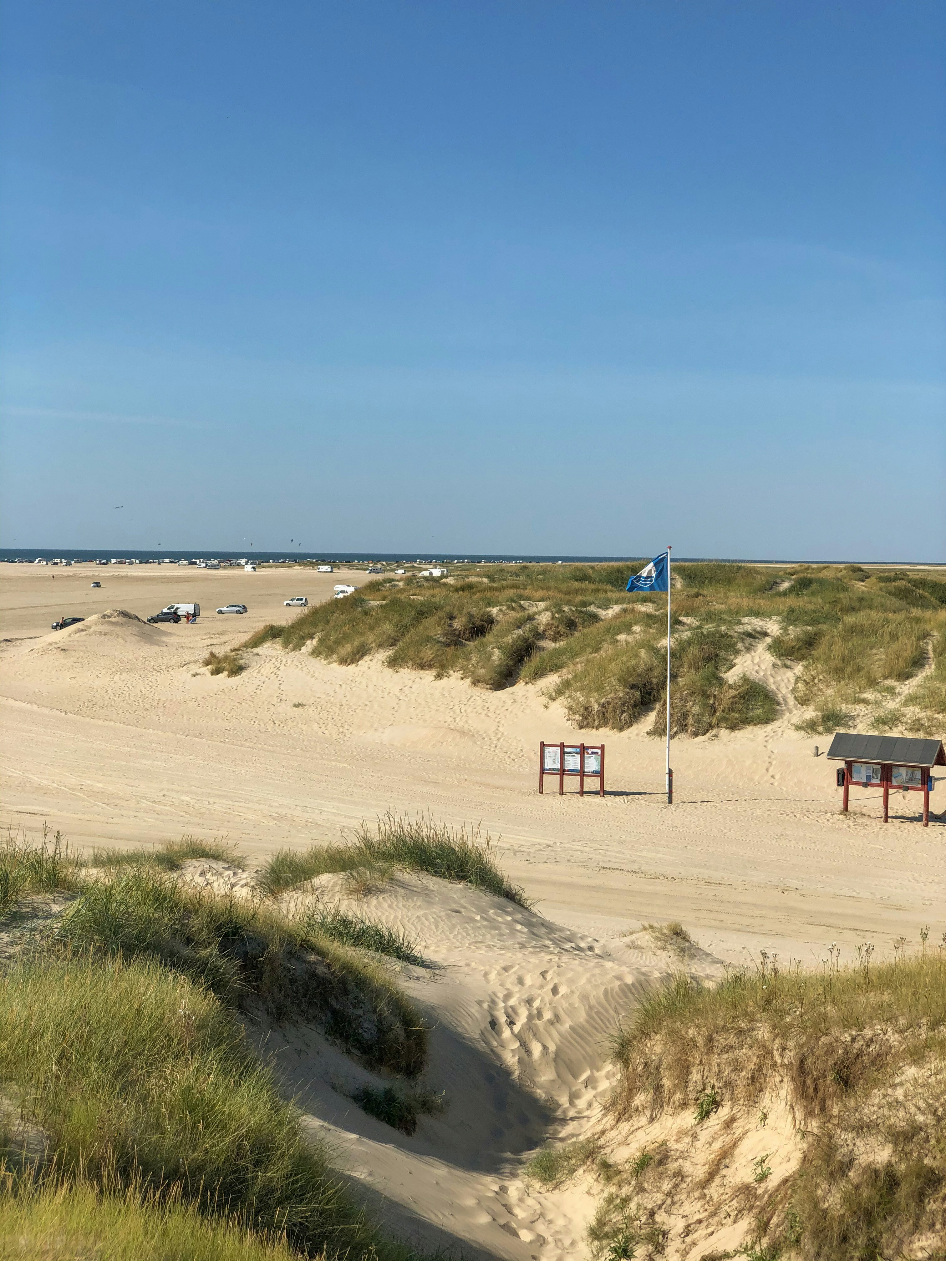 Wind-swept sand dunes with a blue flag marking a beach access point, framed by lush grasses and a distant view of vehicles along the shoreline.