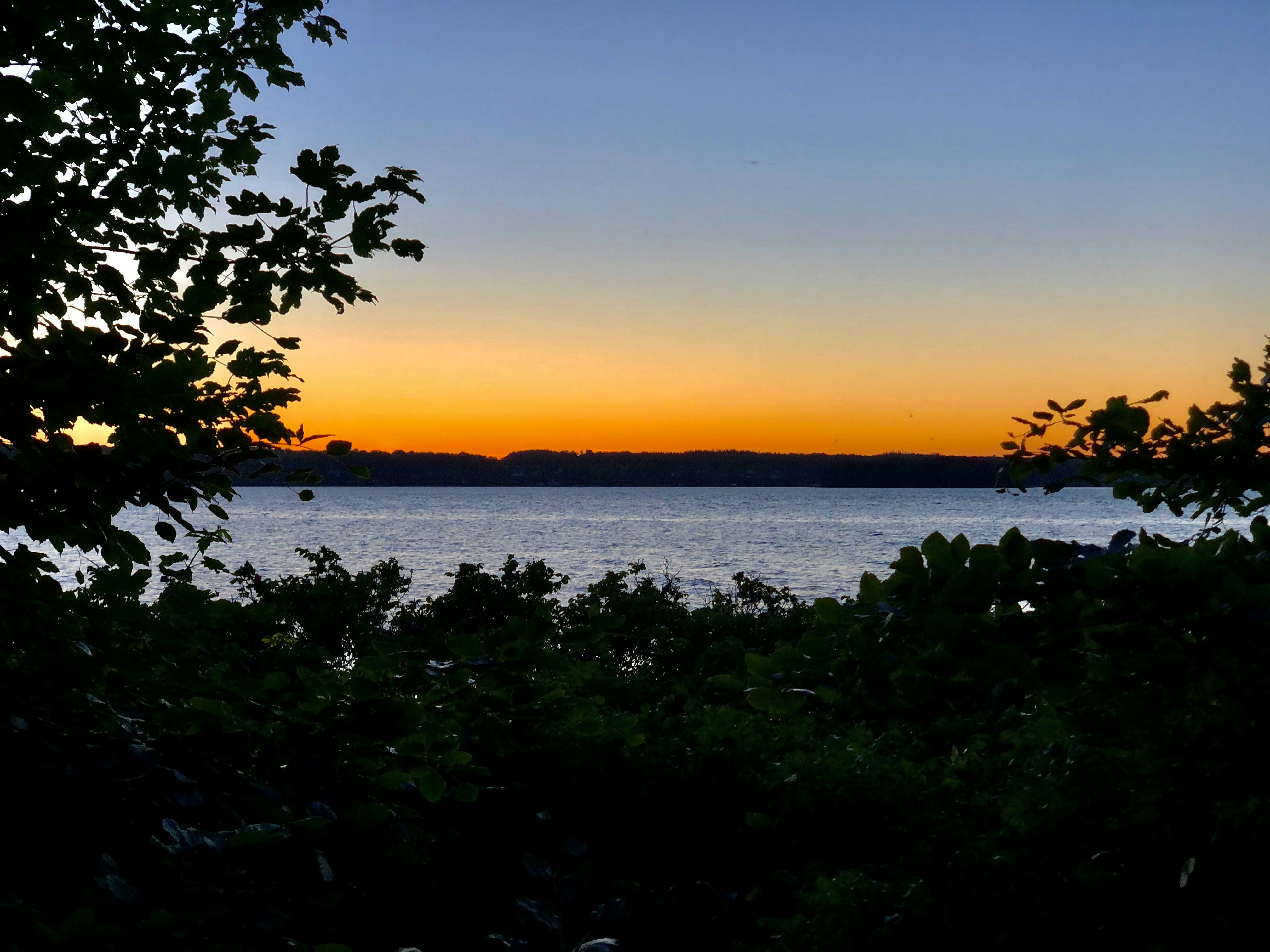 Strand,Römö,Urlaub,pflanzen, Düne,Gras Strand | Sunset over water framed by trees.