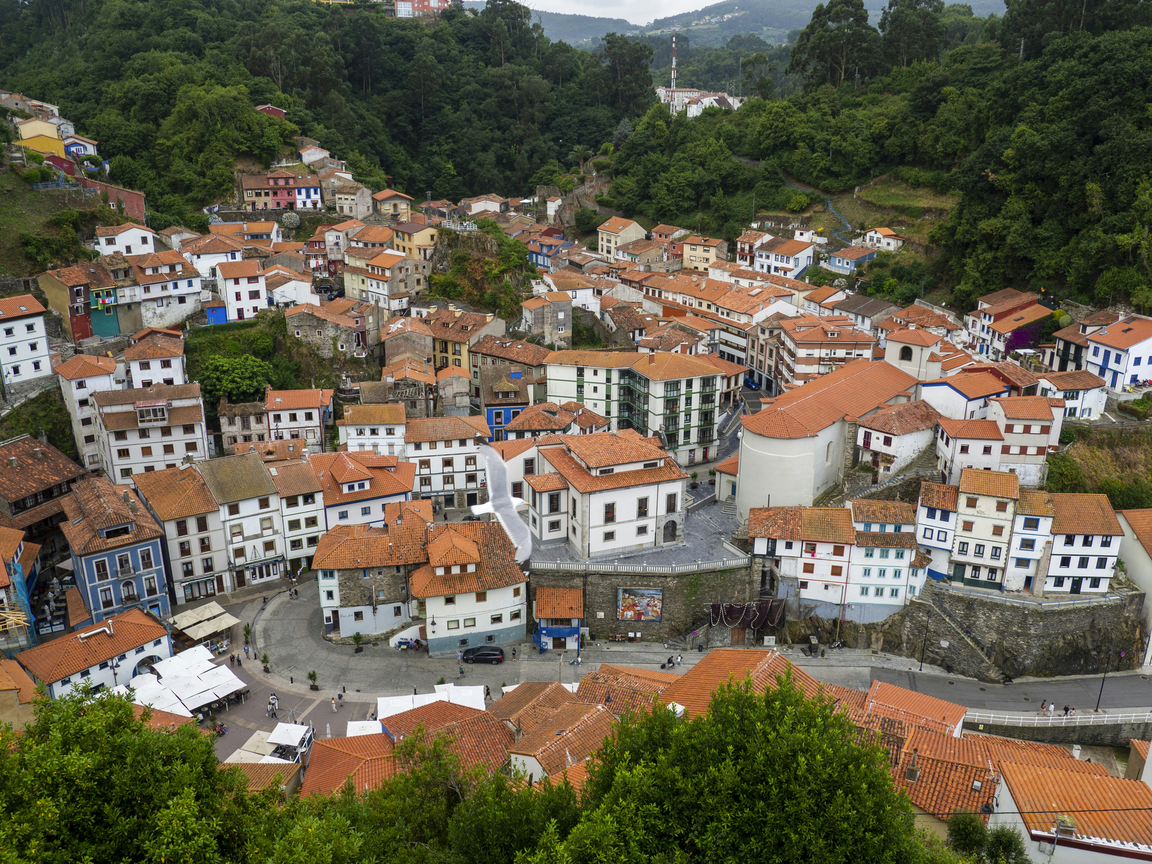 OLYMPUS DIGITAL CAMERA | A scenic coastal town nestled in lush greenery.