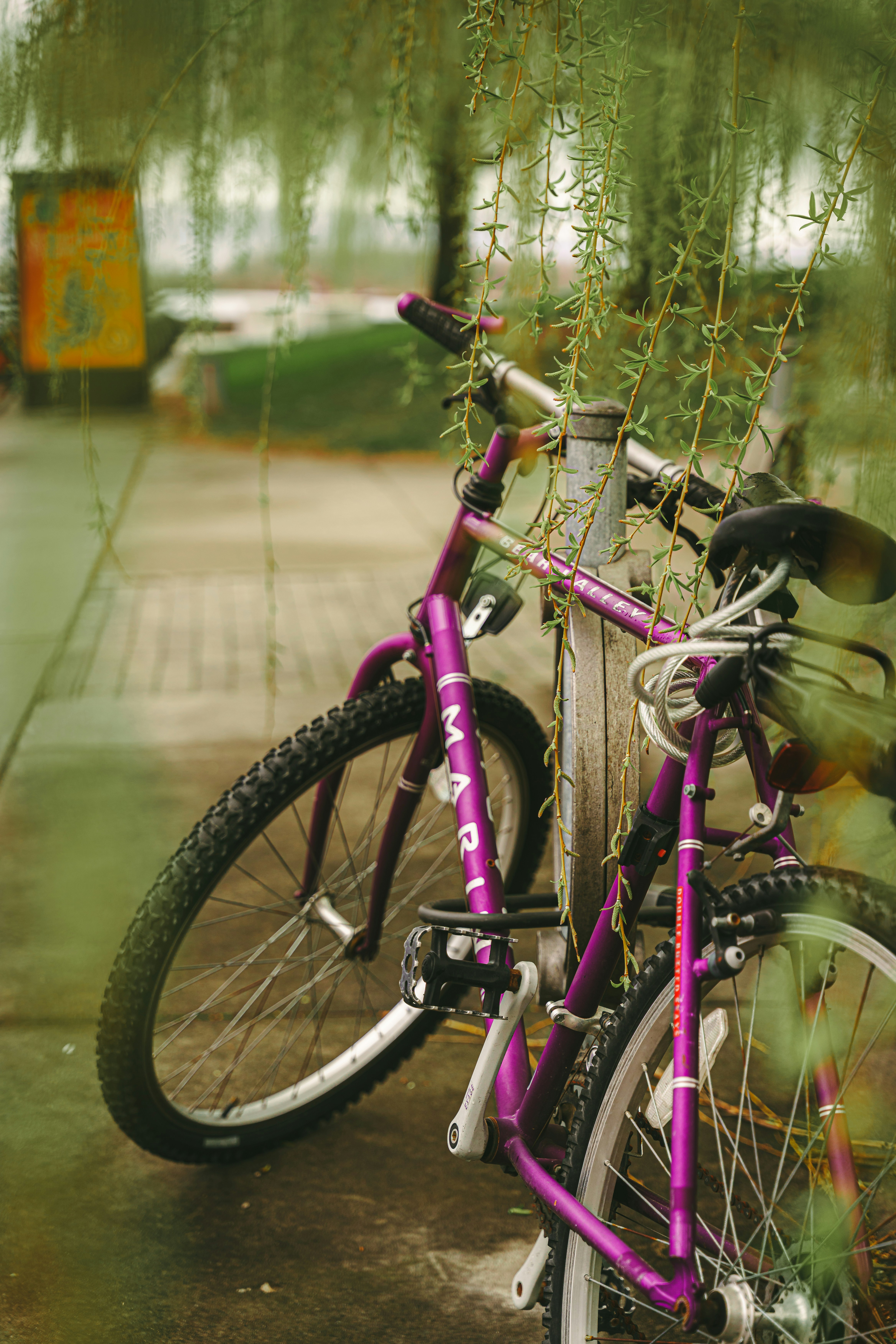 Bike parked on a path at harbour front Toronto. | A purple bicycle leans against a post.