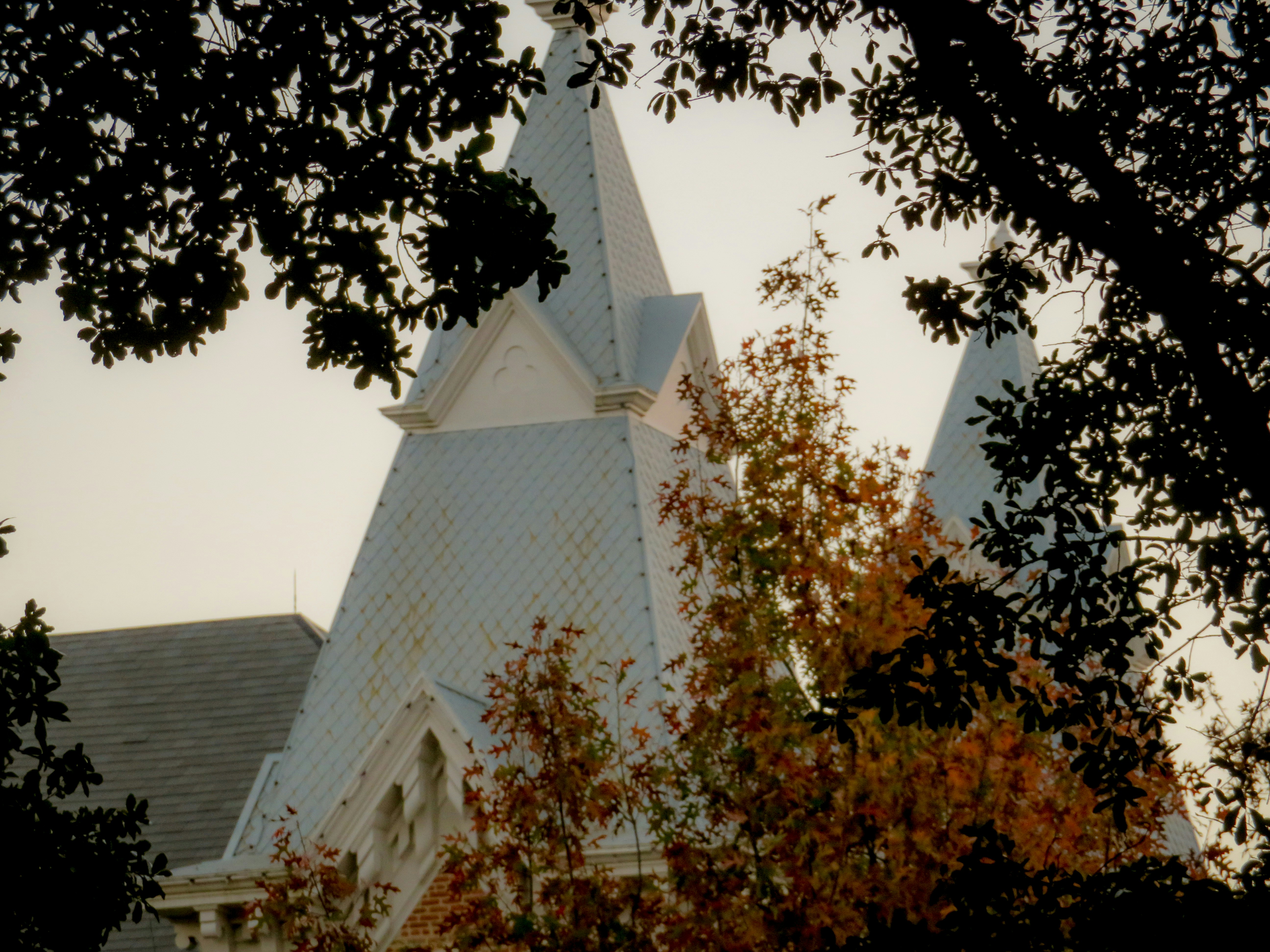 A church spire is framed by trees.