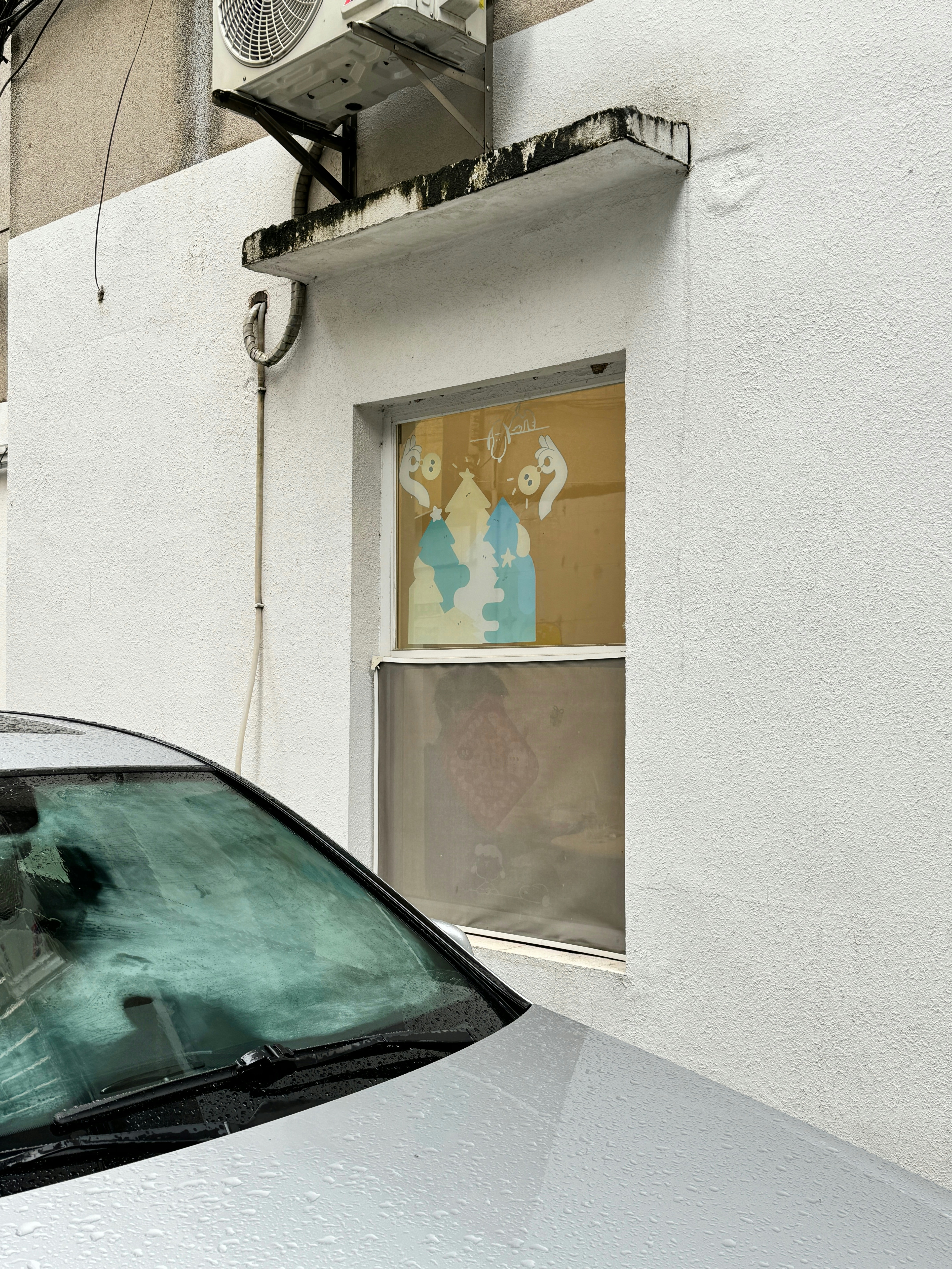 Whimsical Reflections: A Glimpse Through the Window