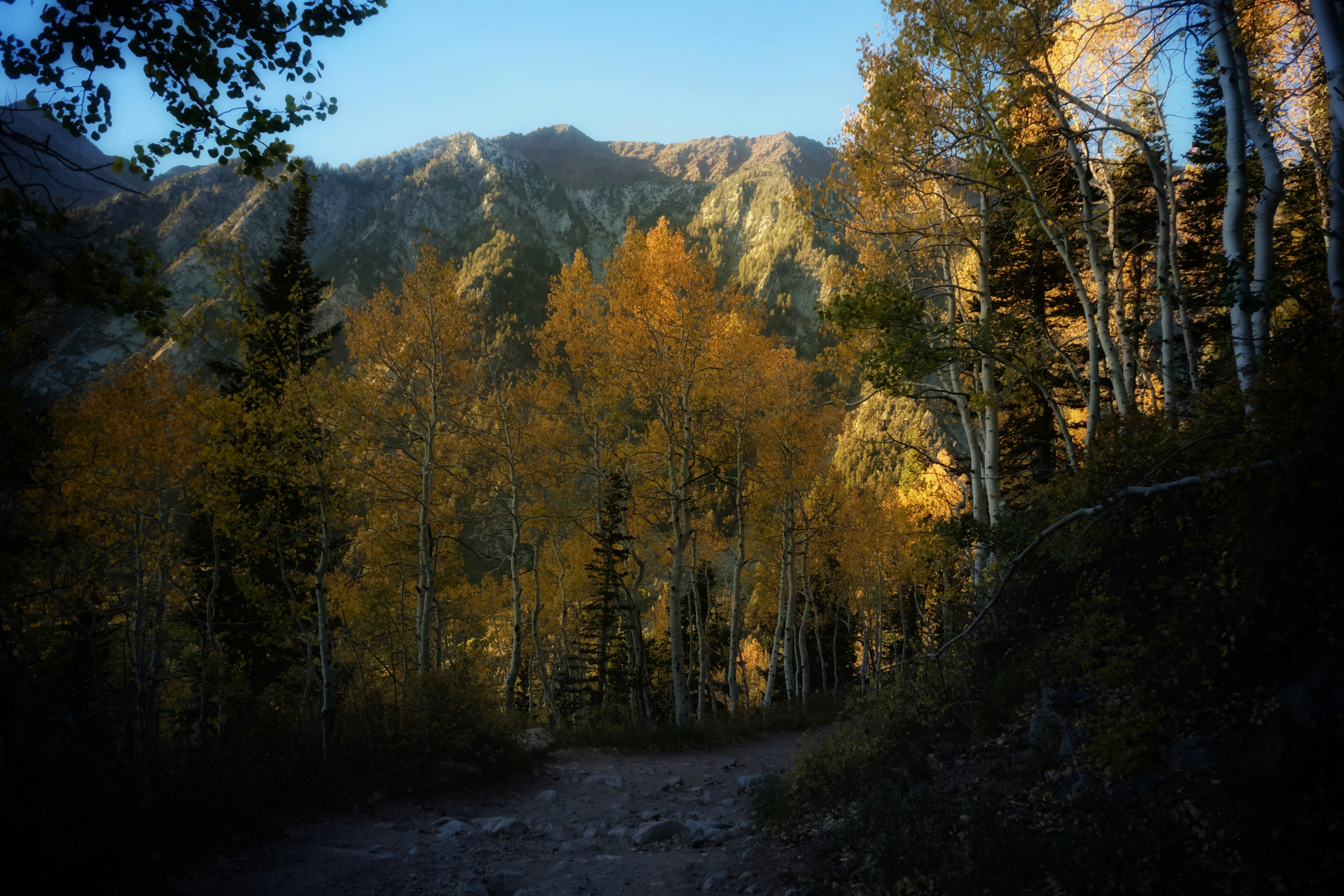 Golden trees and a mountain path create a serene landscape.