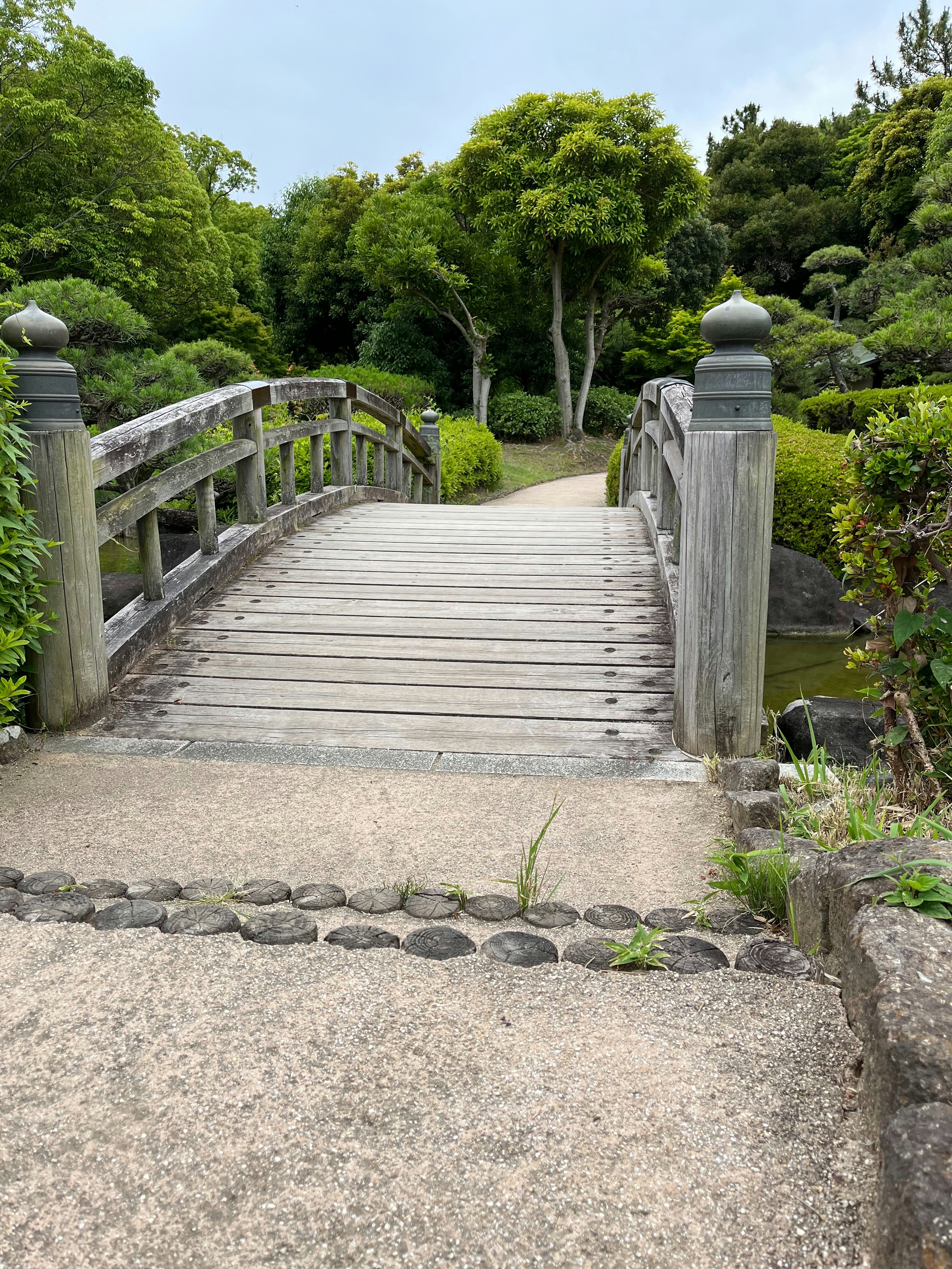 Whispers of Serenity: A Bridge to Nature's Embrace