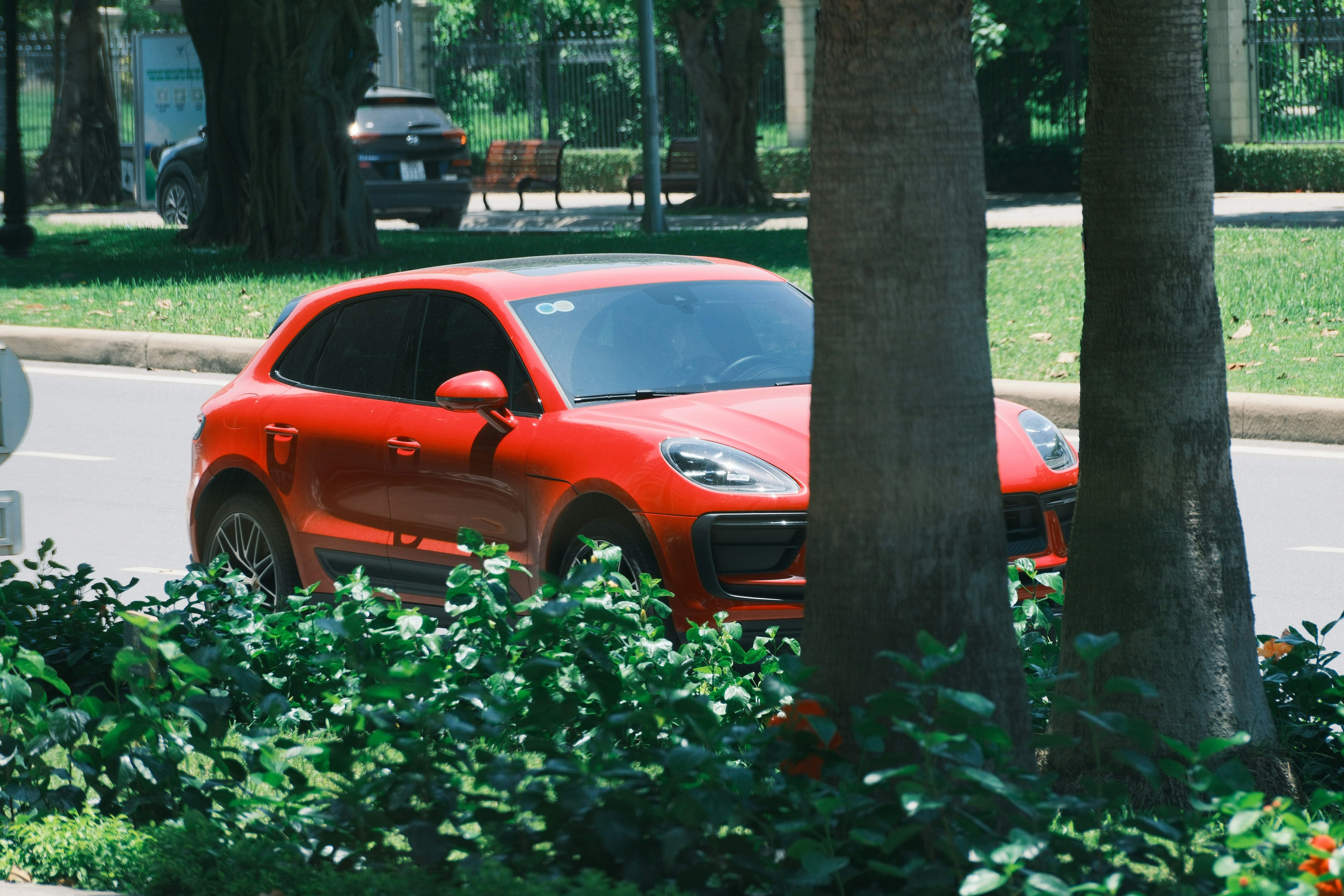 Urban Elegance: The Red Machine in Nature's Embrace