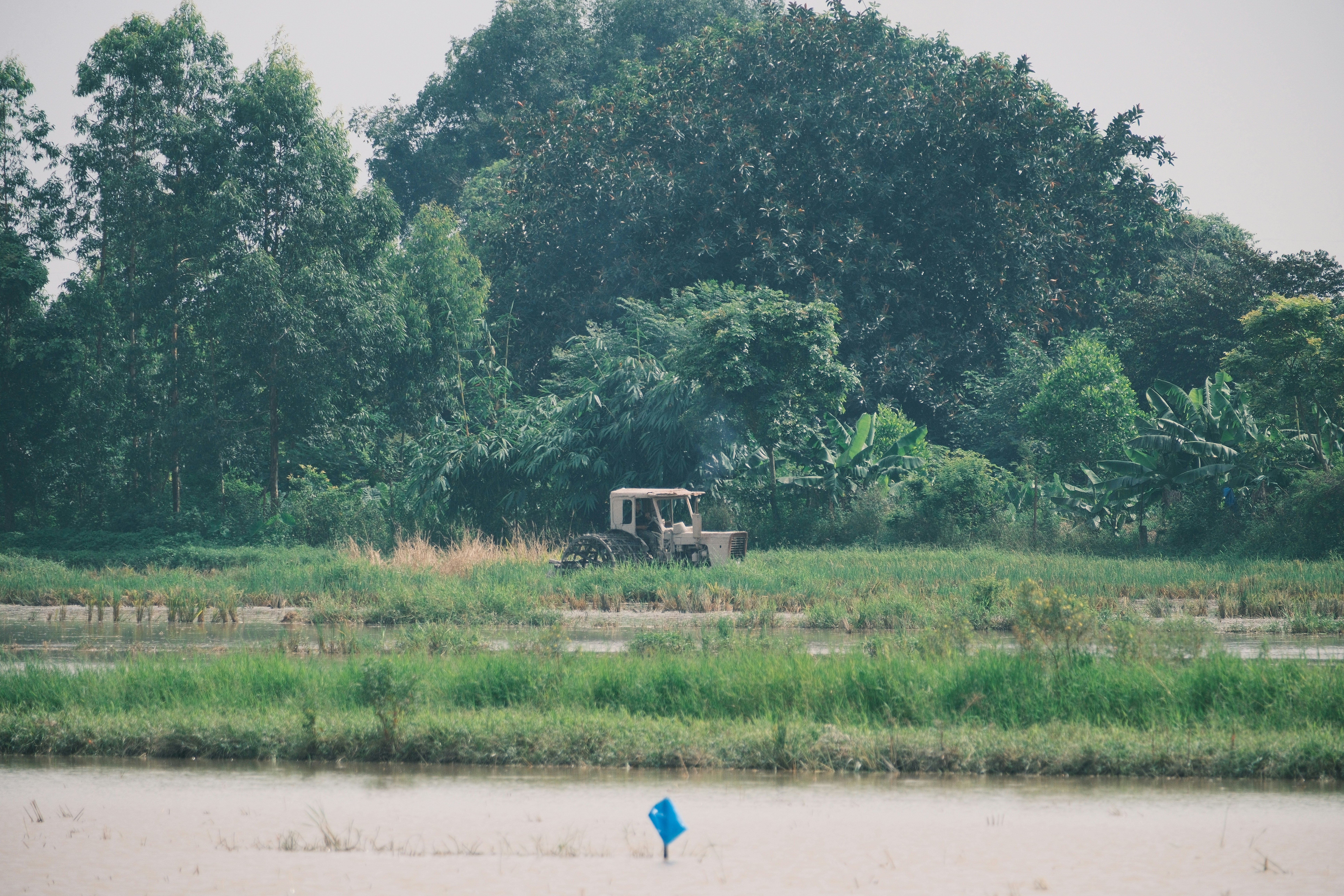 The Heart of the Fields: Agricultural Resilience