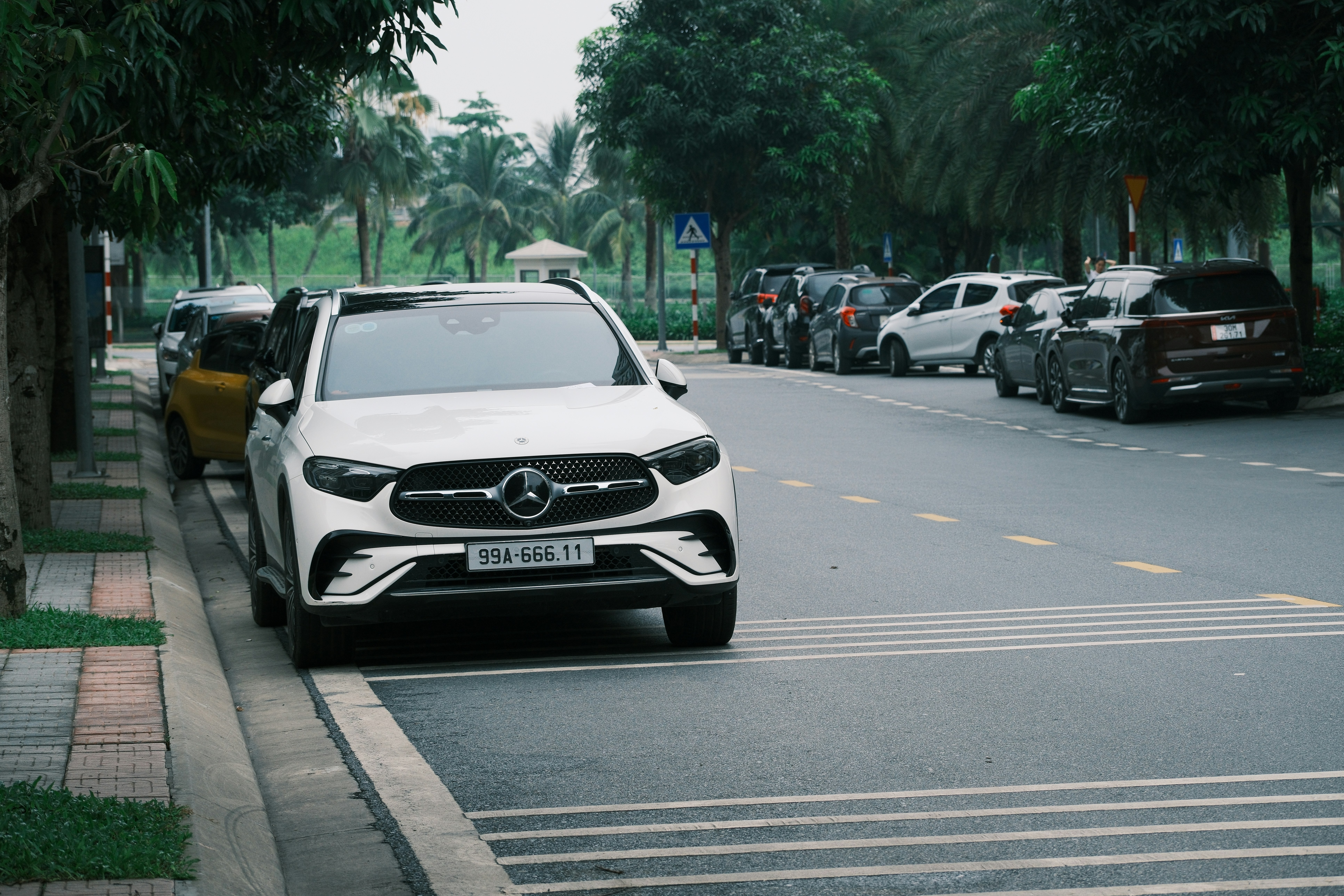Urban Elegance: The Mercedes in Motion