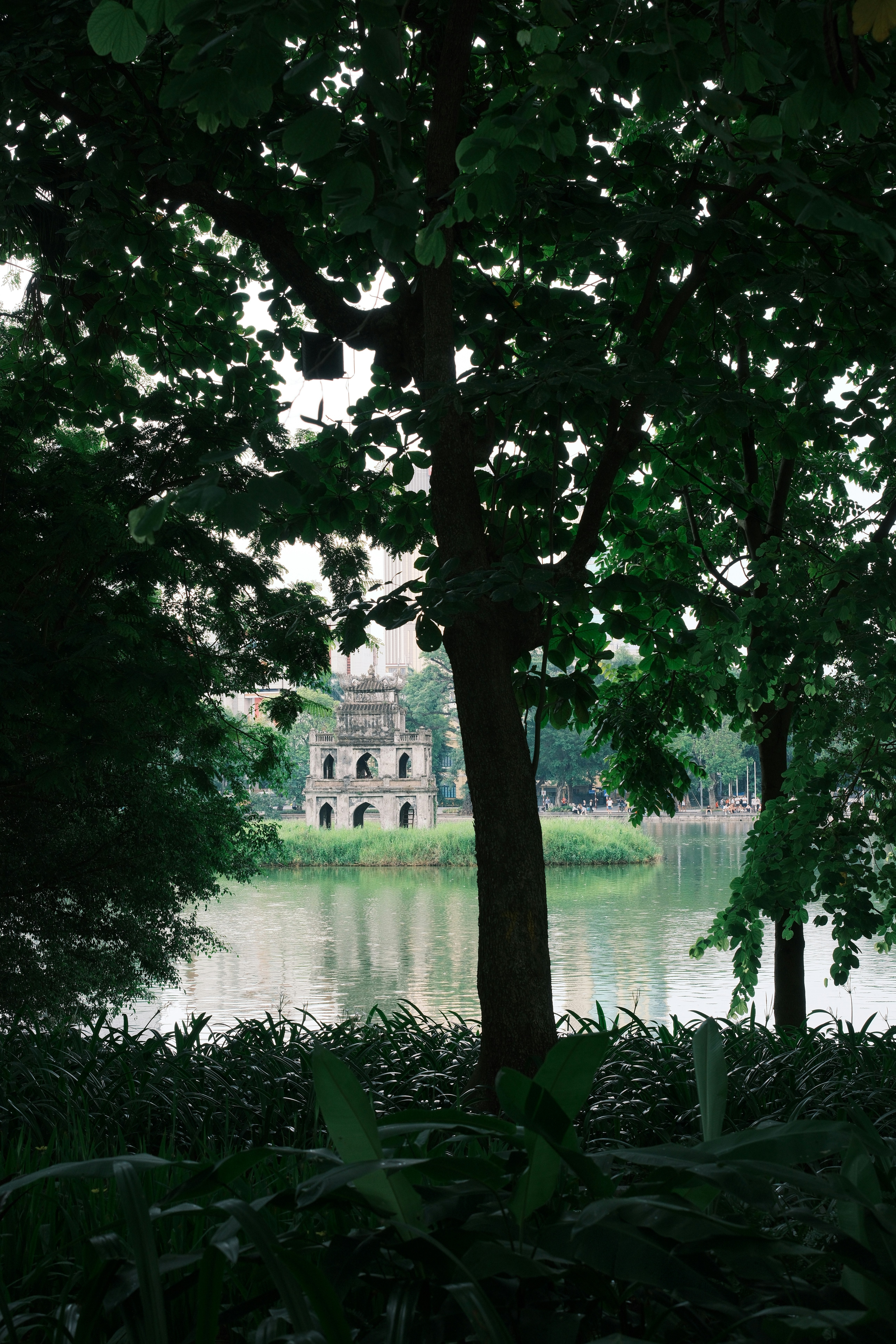 Ancient tower peeking through lush greenery near a tranquil lake, surrounded by urban life. A harmonious blend of nature and history.