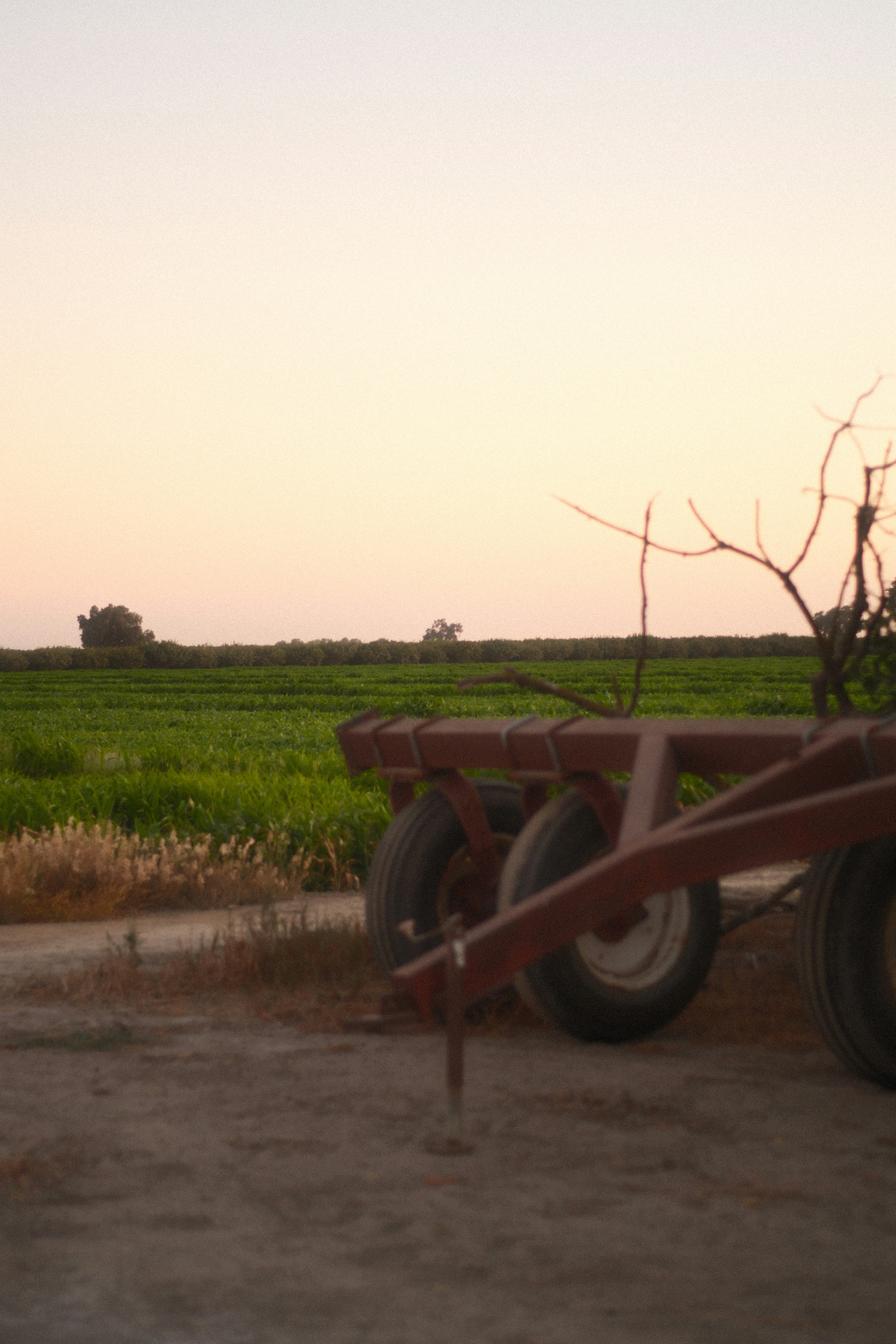 Harvest's Silent Companion