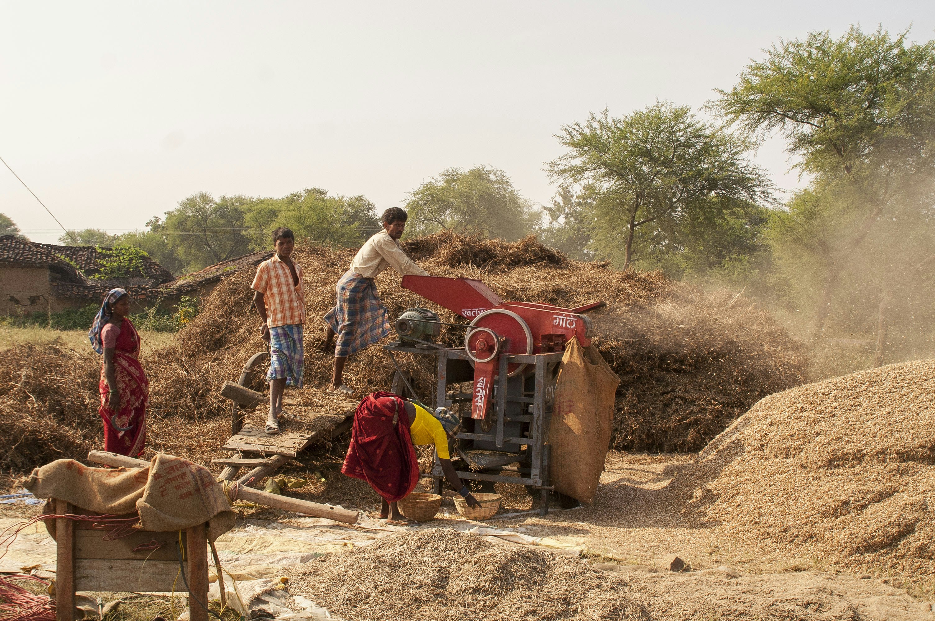 KONICA MINOLTA DIGITAL CAMERA | Farmers are working on harvesting crops using machinery.
