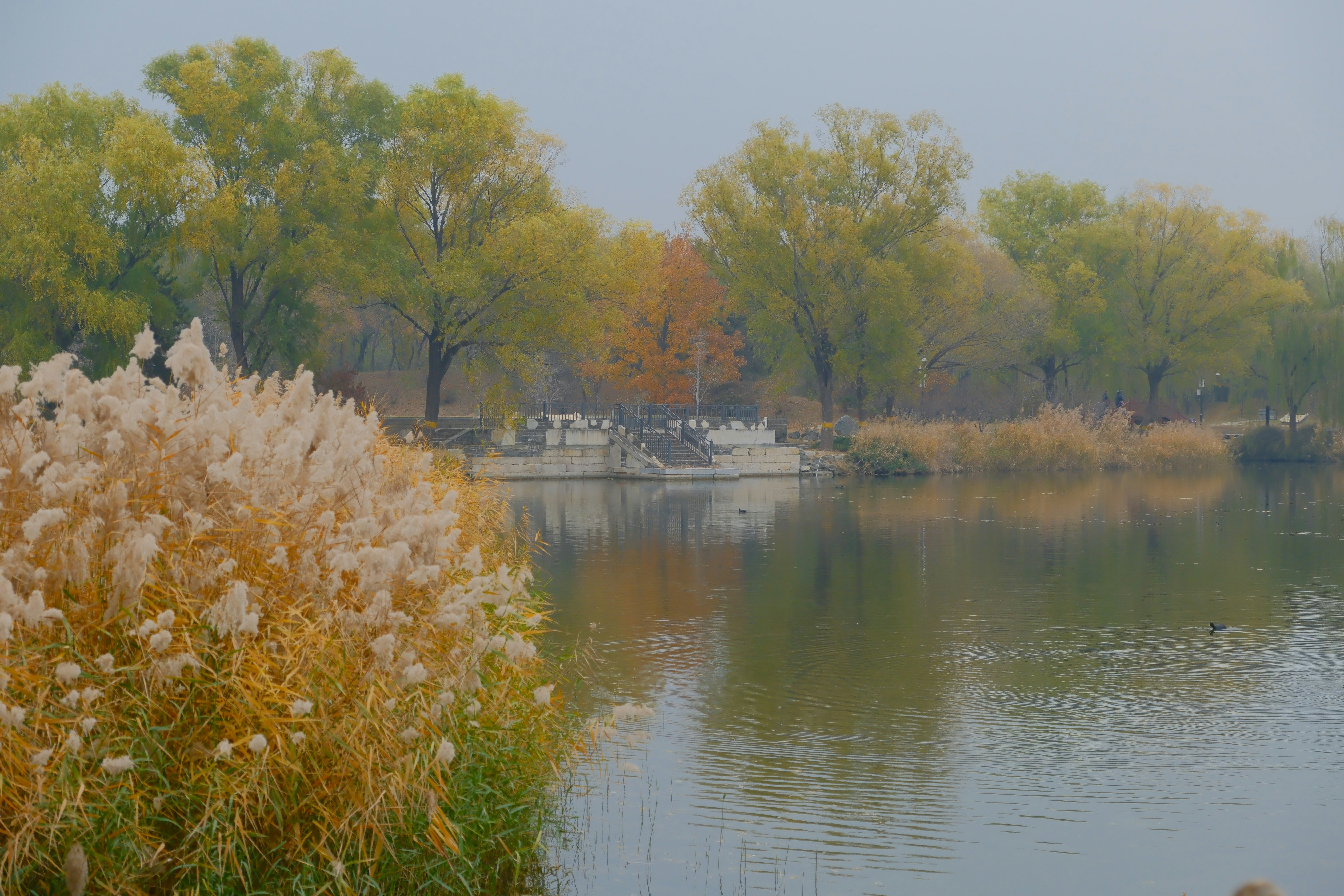 Autumn Reflections: A Serene Lakeside Escape
