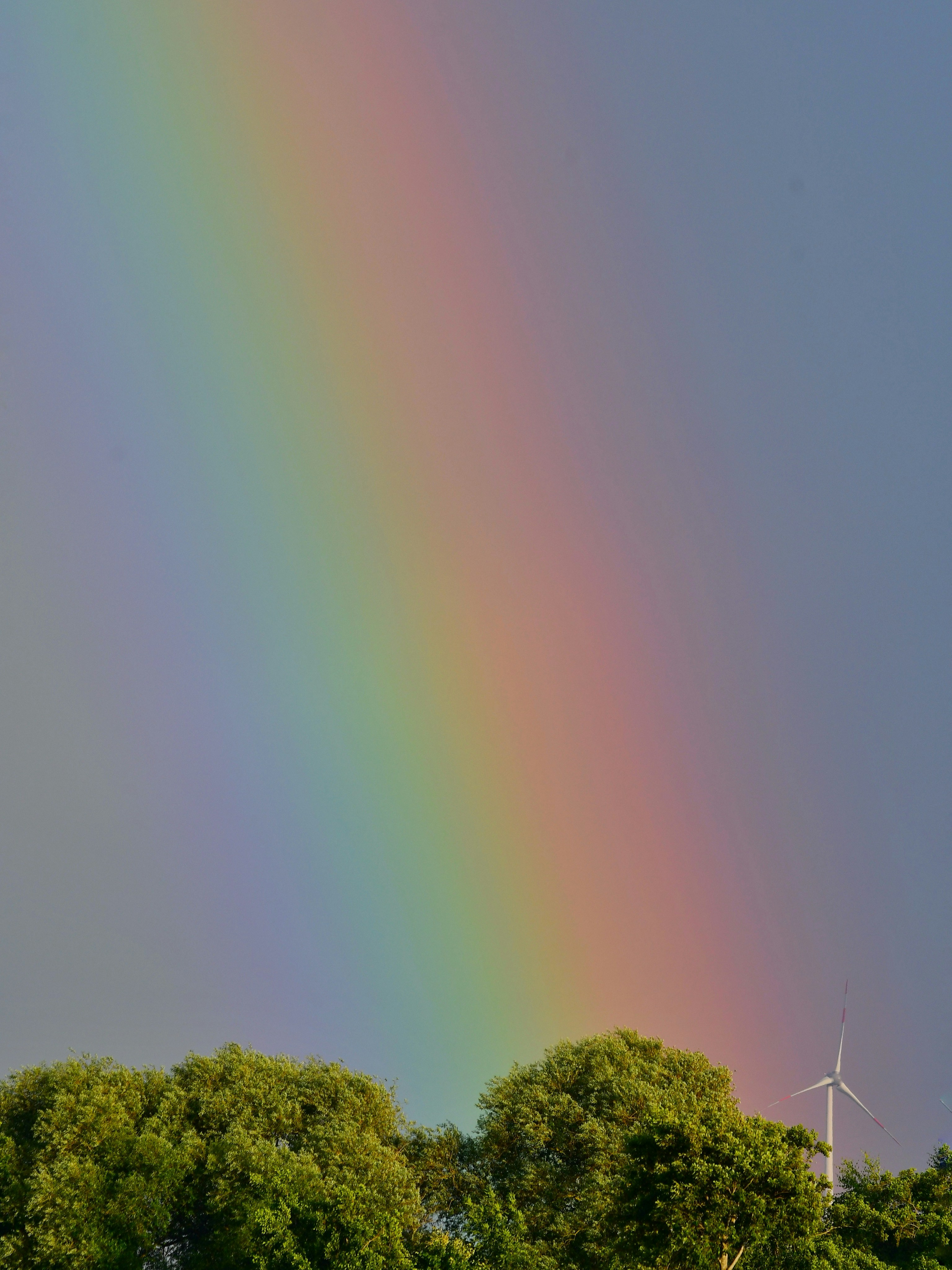 Spectrum of Serenity: Nature's Arc