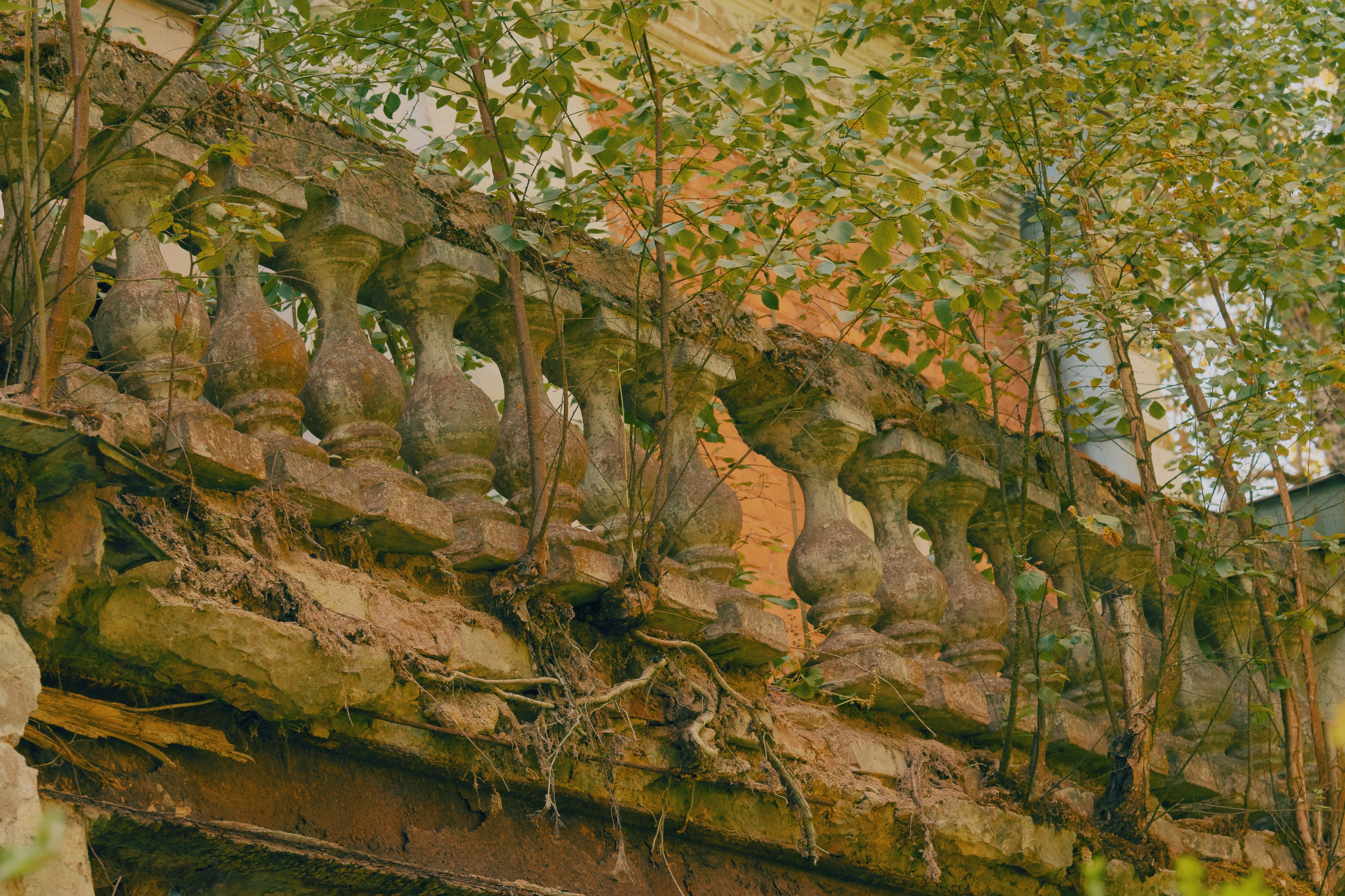 Nature's Embrace on Forgotten Architecture