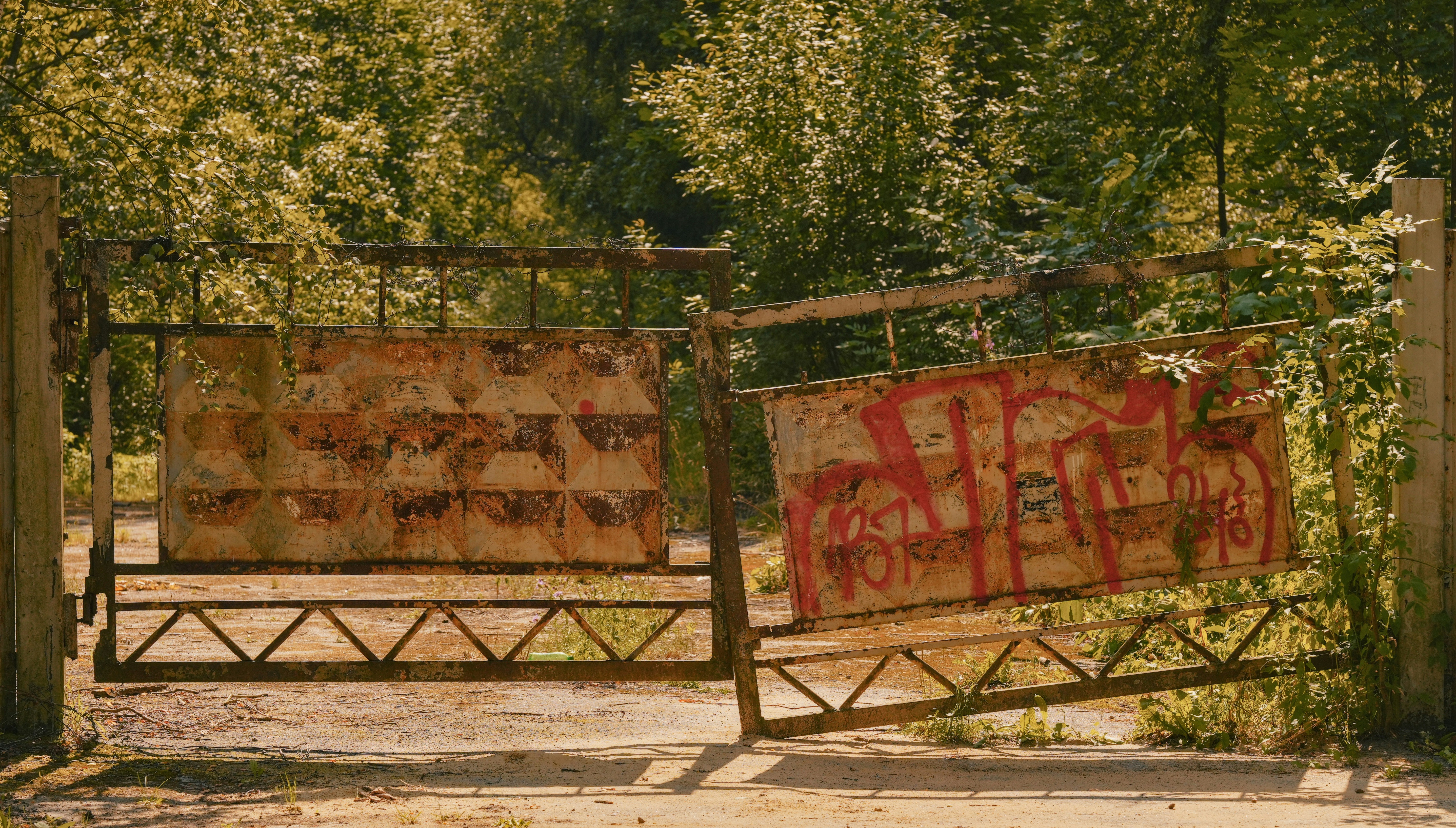 Whispers of Abandonment: The Forgotten Gate