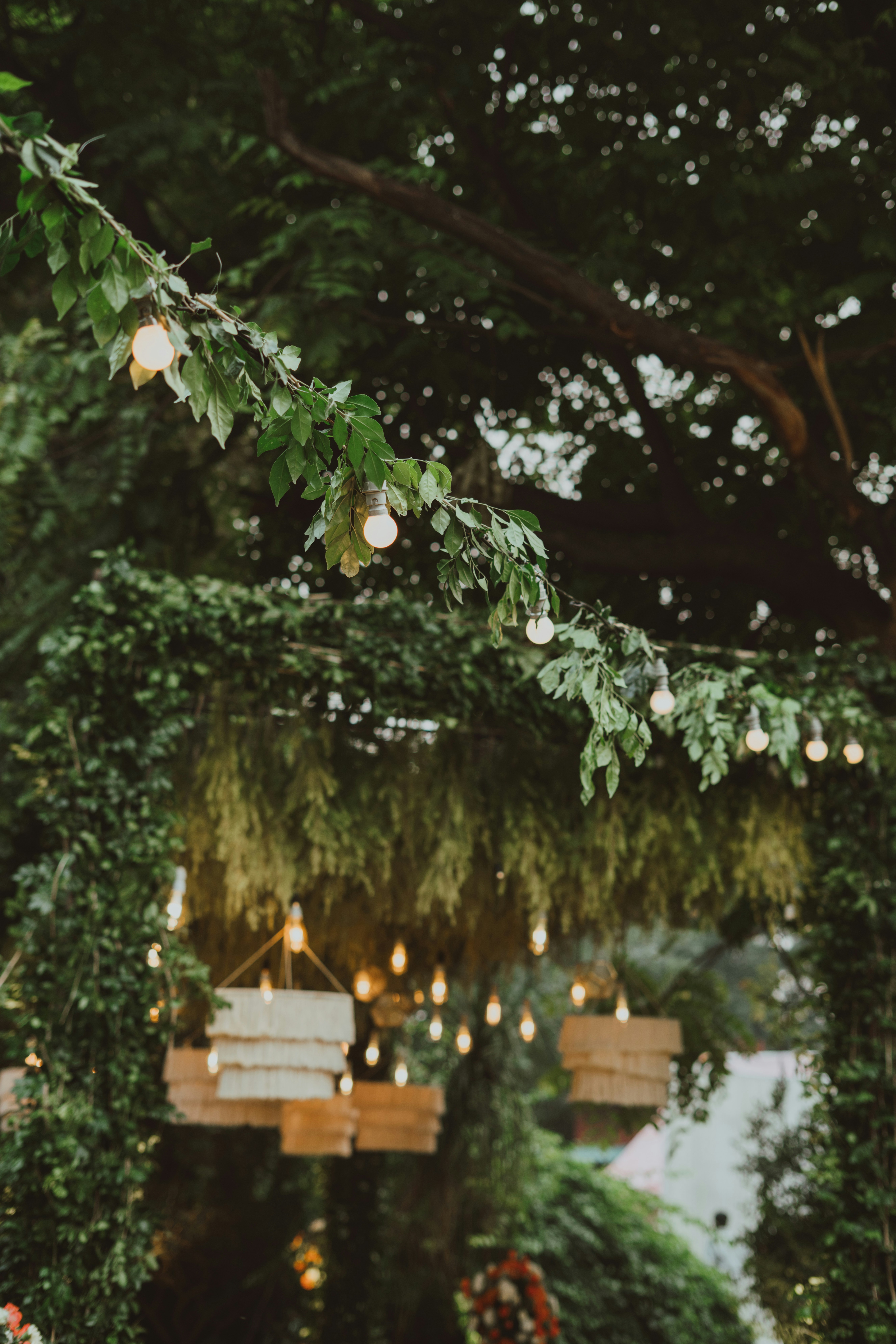 A beautifully decorated outdoor space adorned with lush greenery and warm, glowing lights, creating an inviting atmosphere for gatherings.