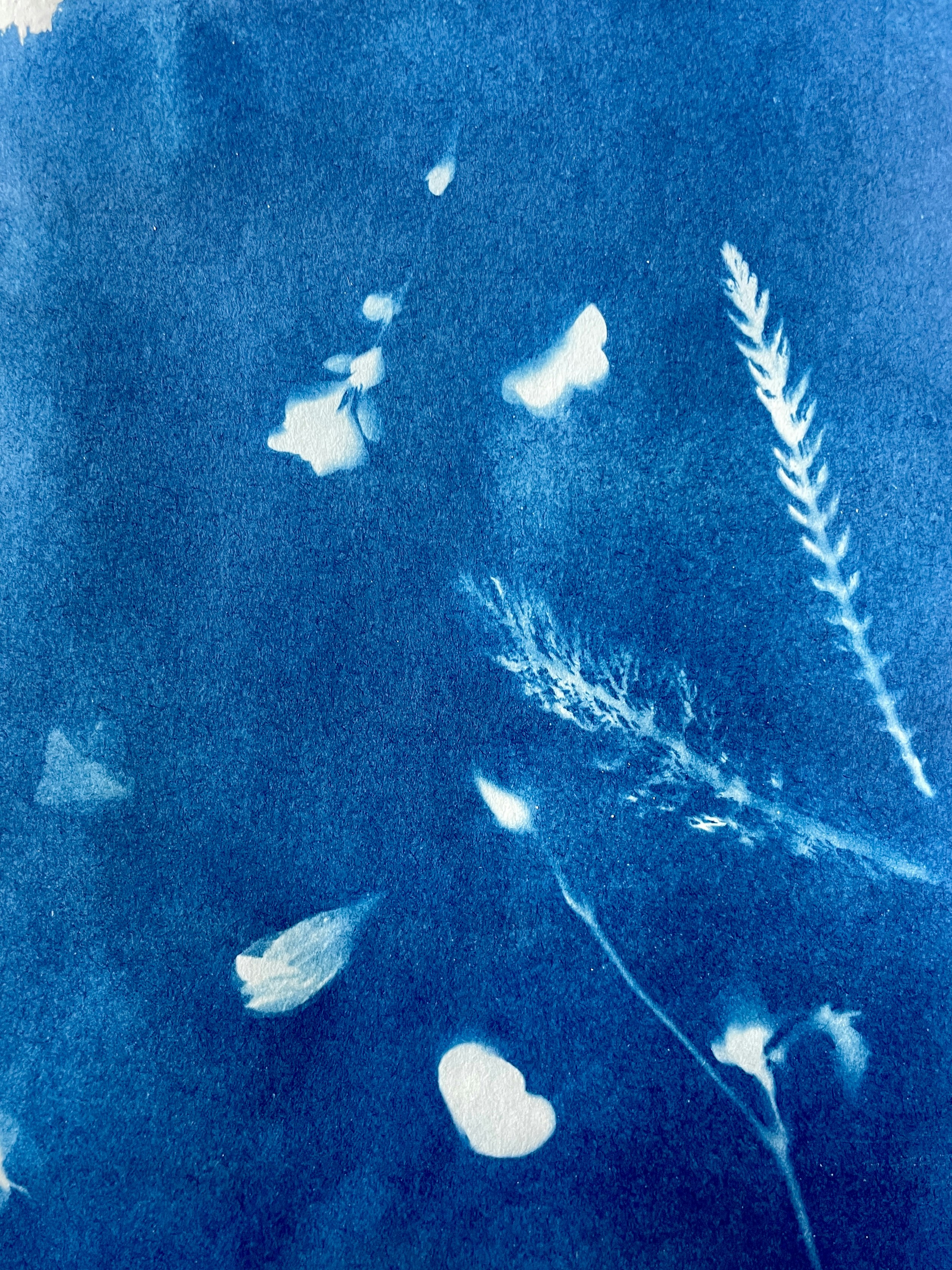 Botanical elements are imprinted on a blue background.