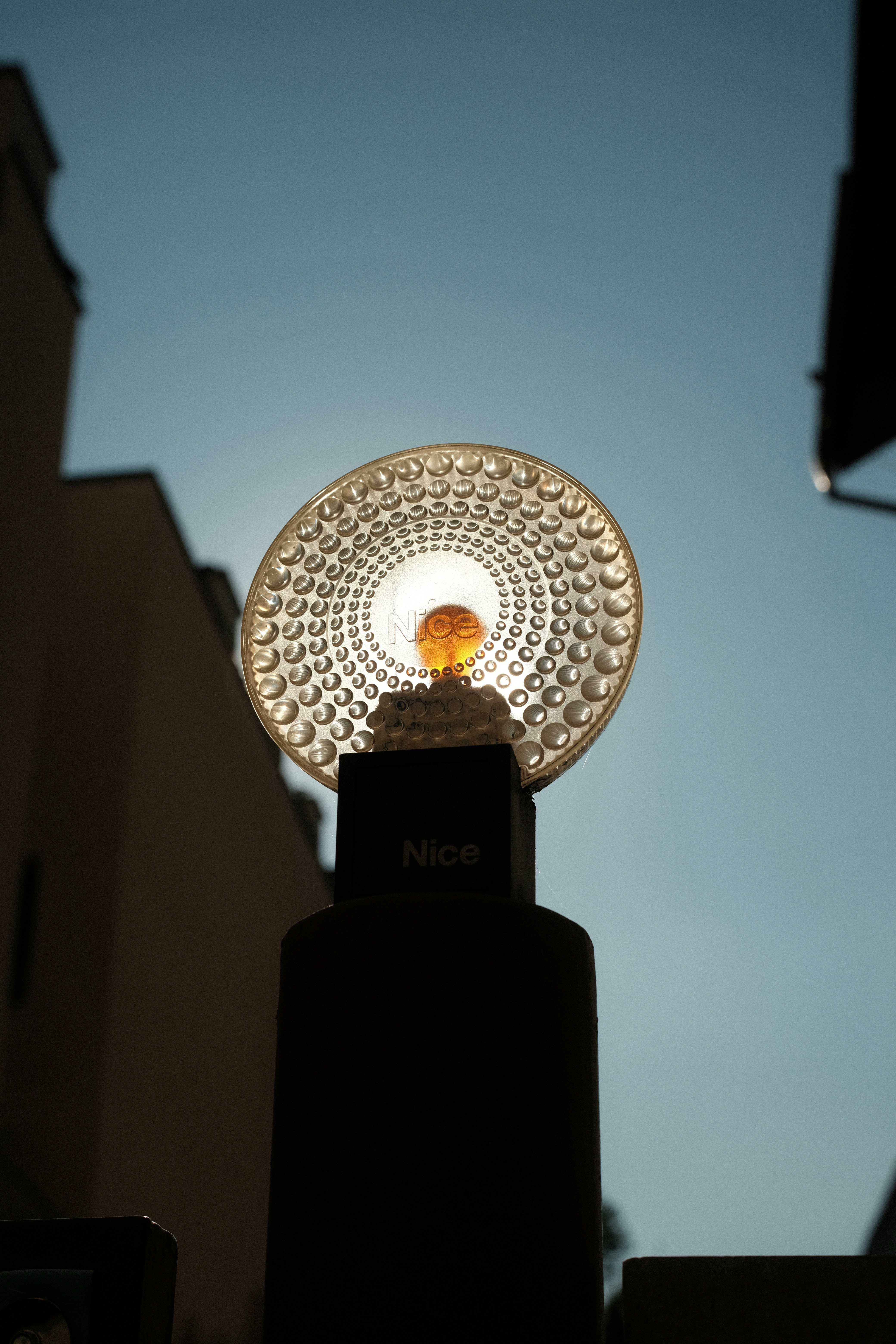 Illuminated Whimsy: A Playful Encounter with Light