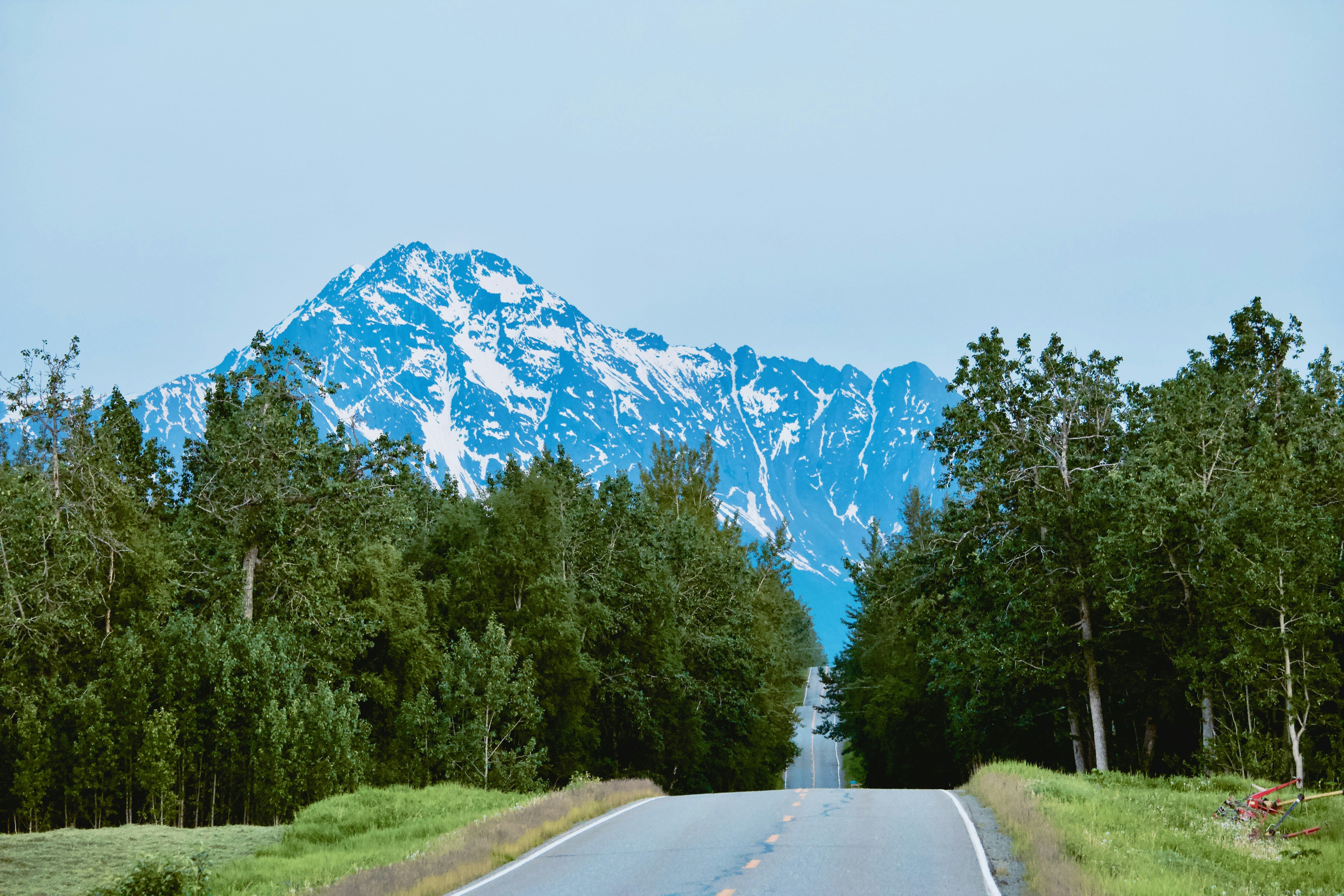 Vanishing Road Through Pines Toward a Snow-Capped Summit