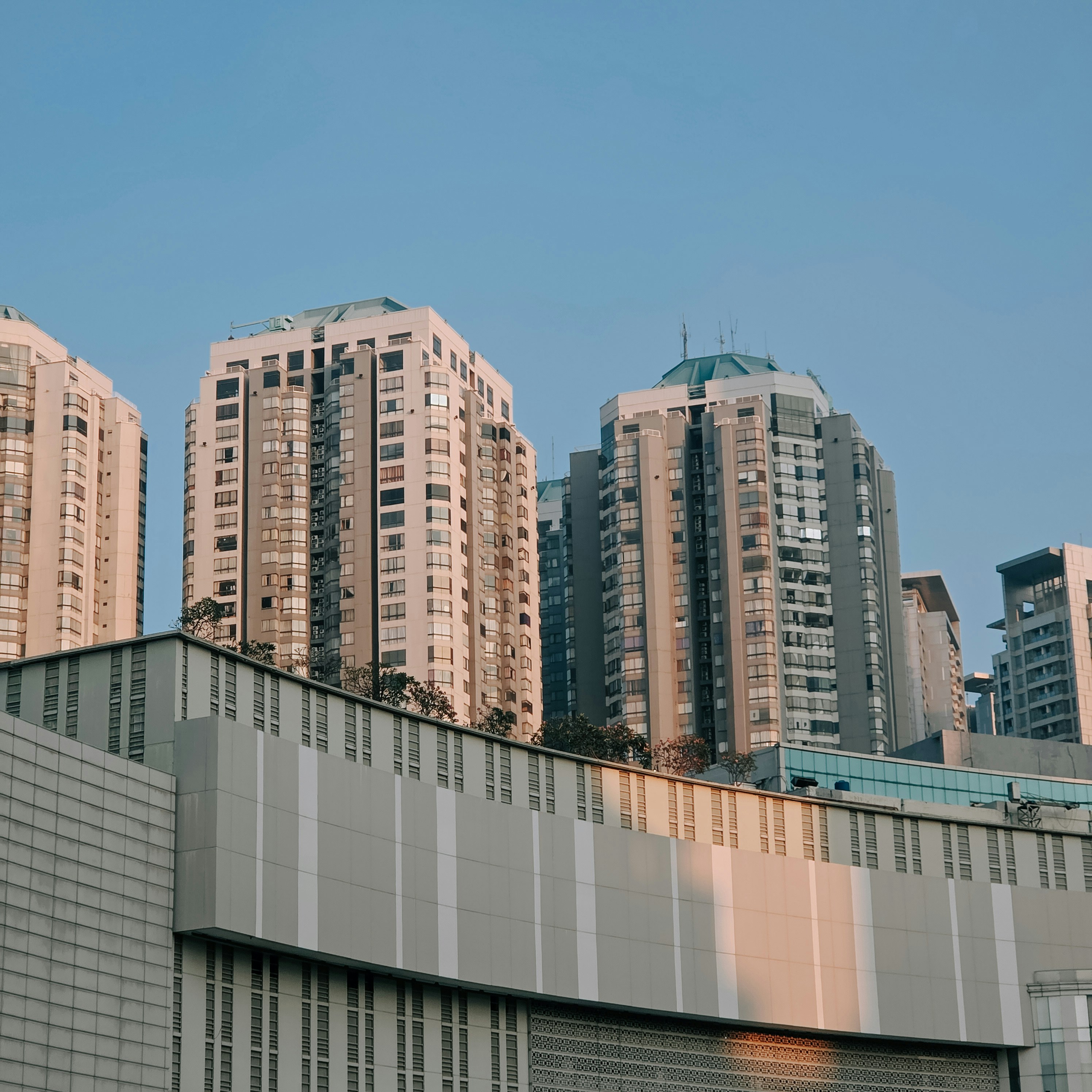 Building bathed with golden sun ray in golden hour. | High-rise buildings stand tall against a clear sky.