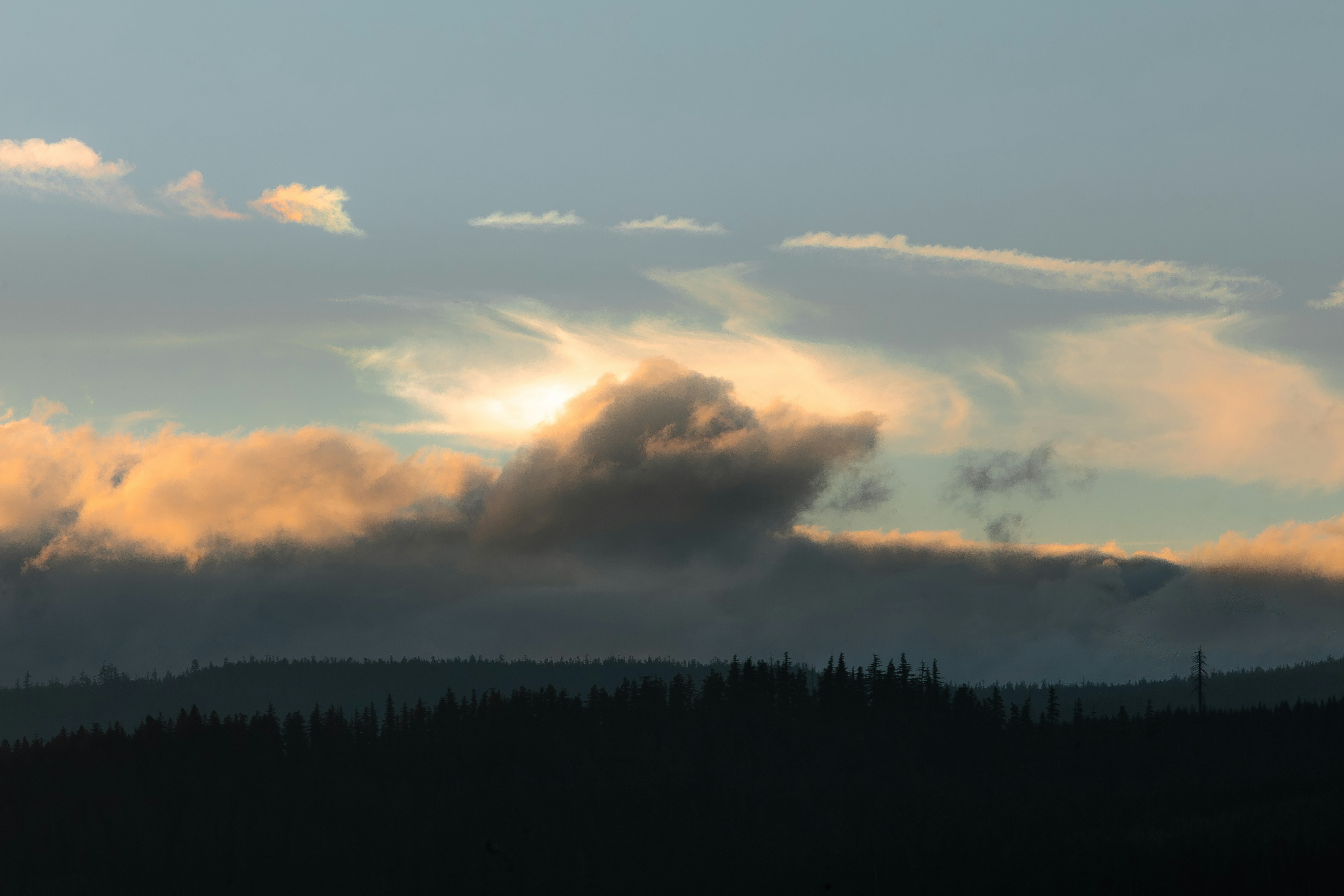 Photo by Alfred Trinidad with Canon EOS RP